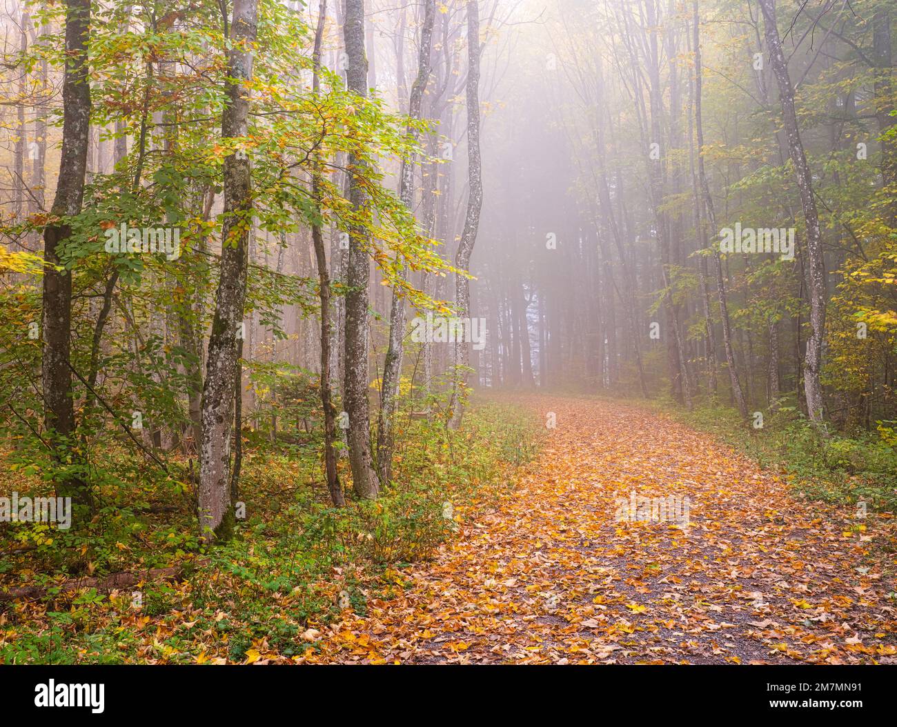 Europe, Germany, Bavaria, UNESCO Biosphere Reserve Rhön, Bavarian Rhön ...
