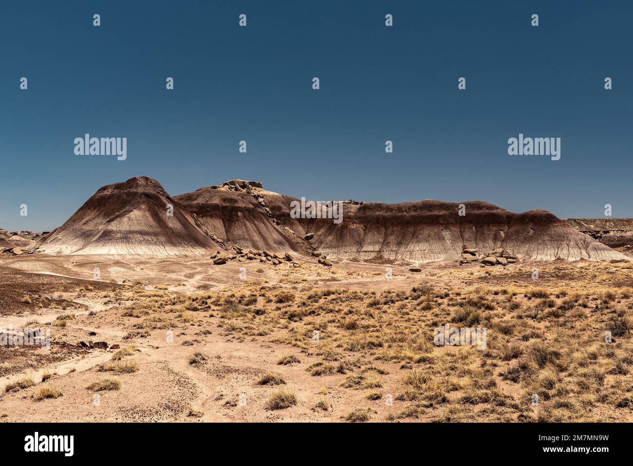 A landscape of rocky ground inside the Desert of Petrified Forest with ...