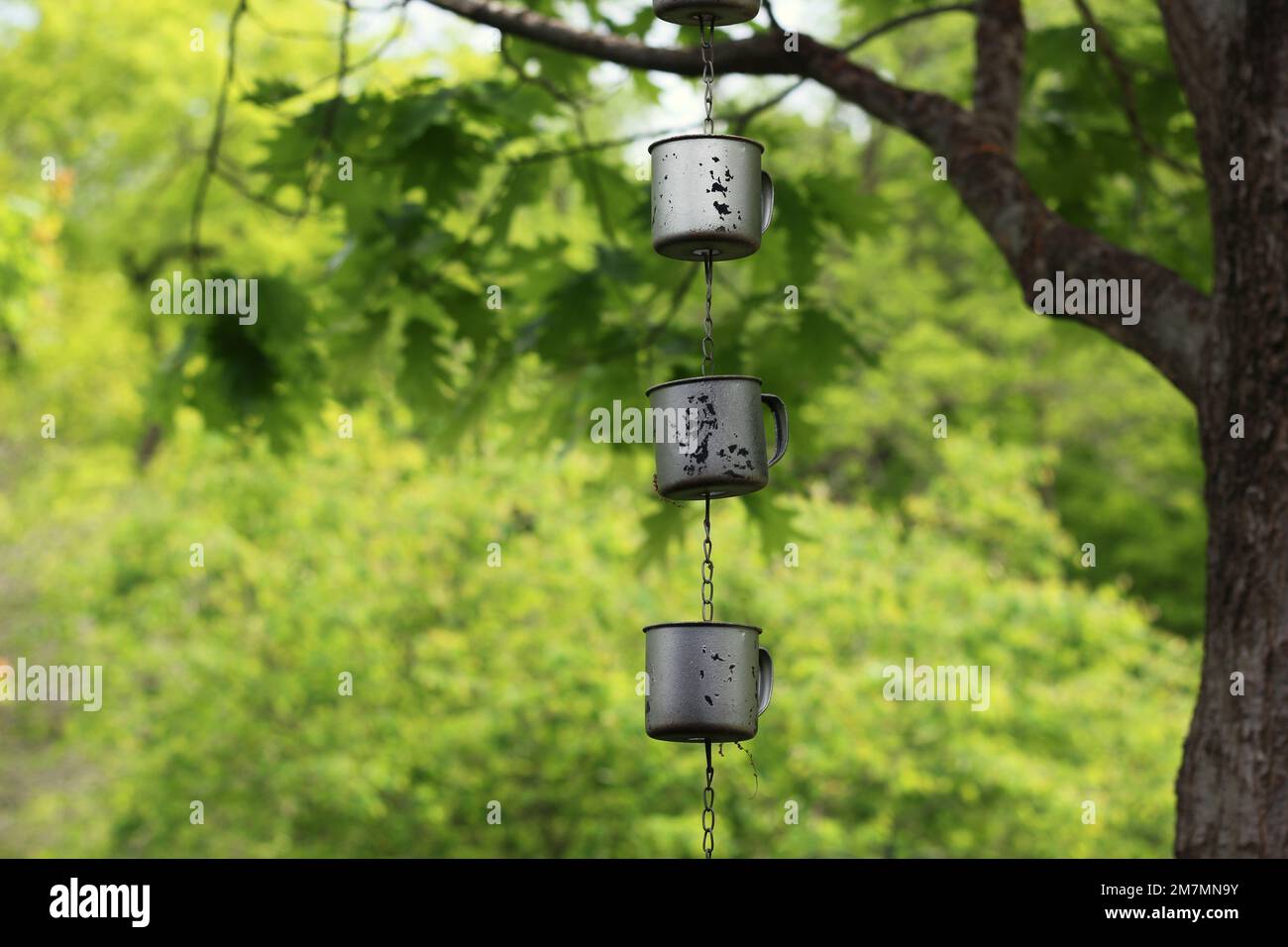 Three tin pots and pails hanging on a rope as a garden decoration Stock ...
