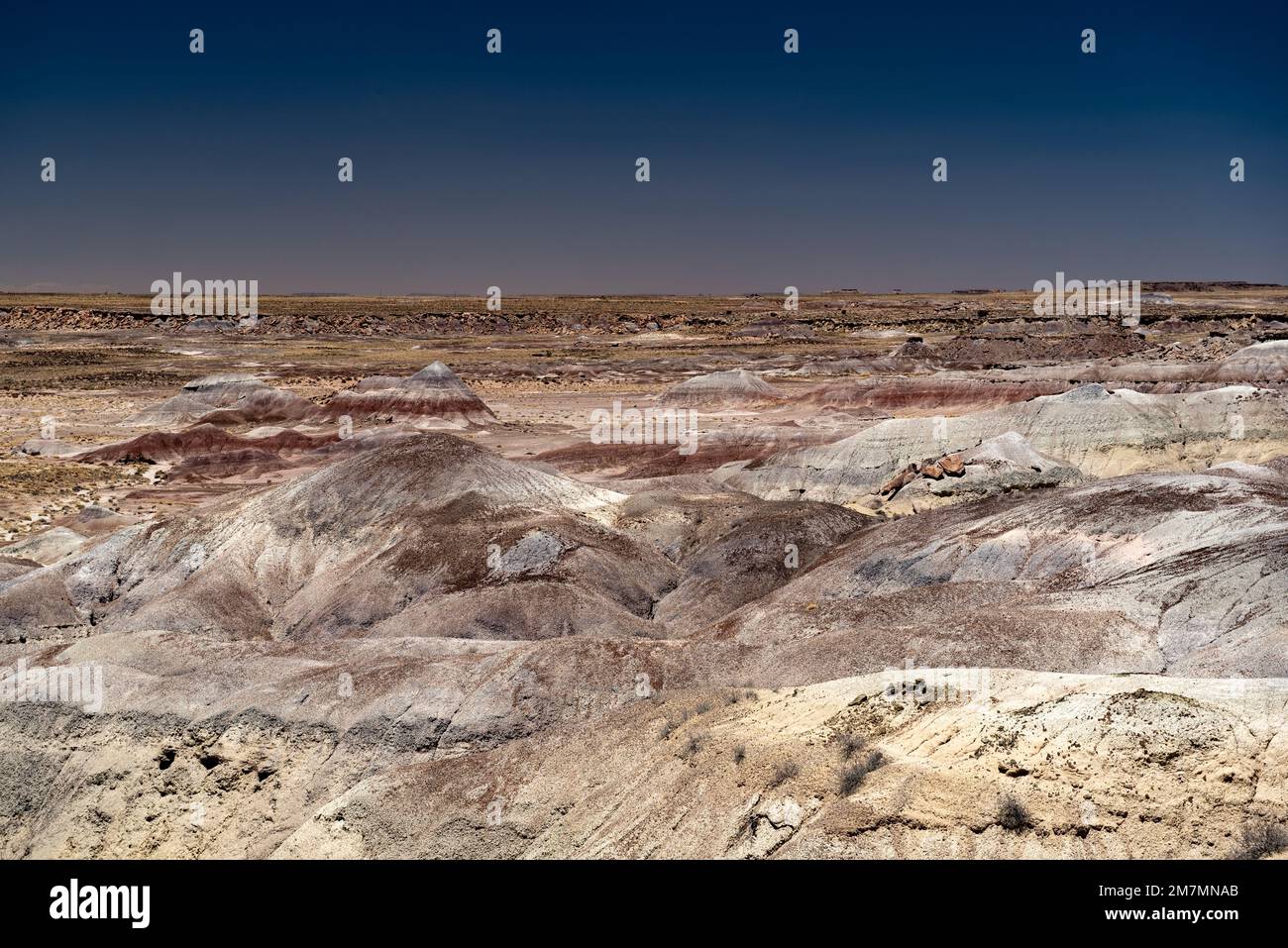 A landscape of rocky ground inside the Desert of Petrified Forest with ...