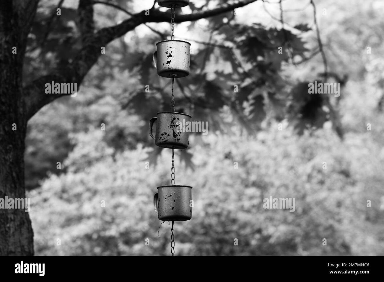Three tin pots and pails hanging on a rope as a garden decoration in a ...