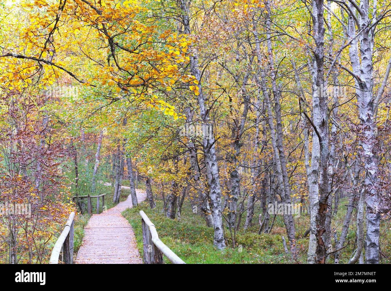 Europe, Germany, Hesse, UNESCO Biosphere Reserve Rhön, Hessian Rhön ...
