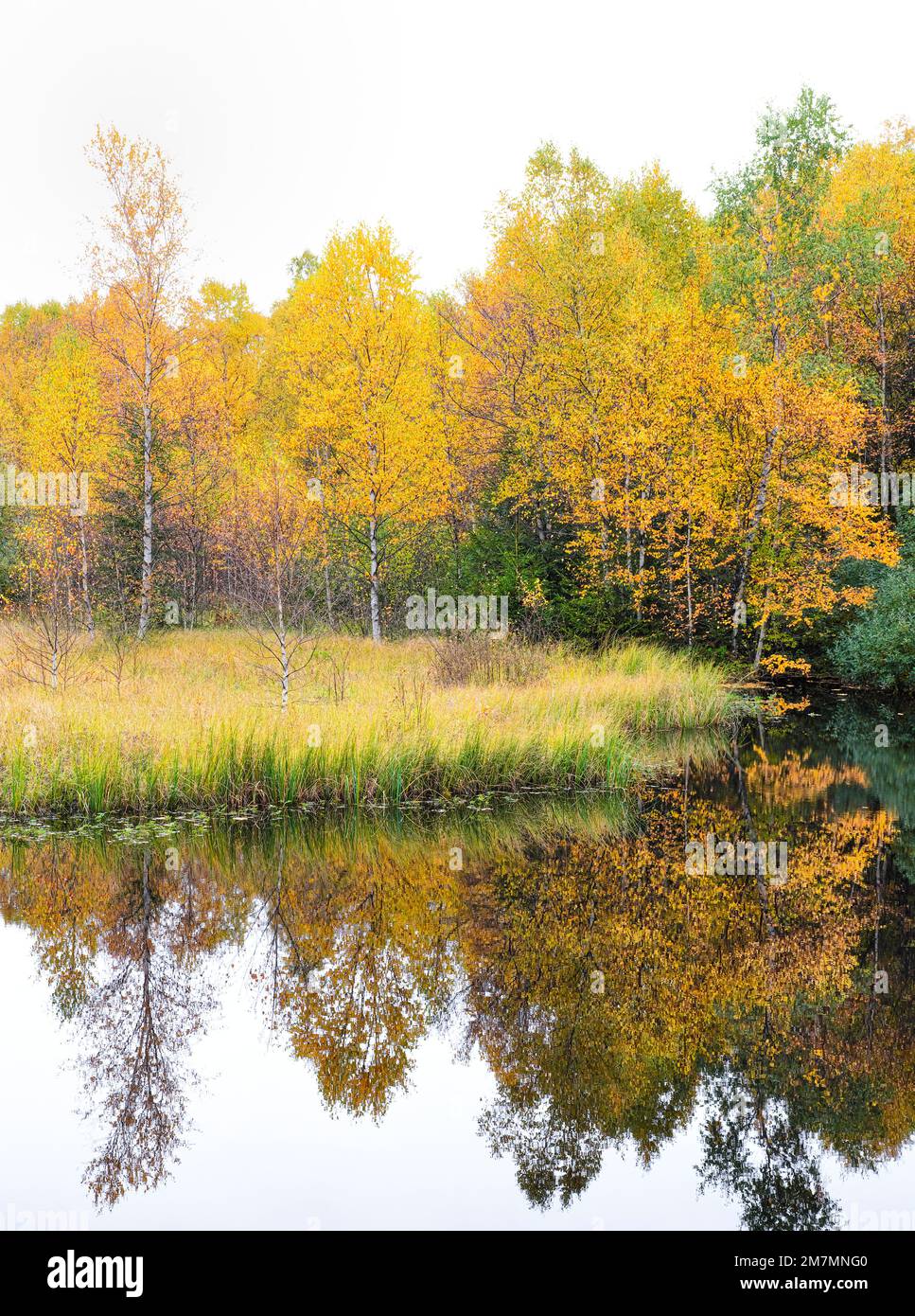 Europe, Germany, Hesse, UNESCO Biosphere Reserve Rhön, Nature Park ...