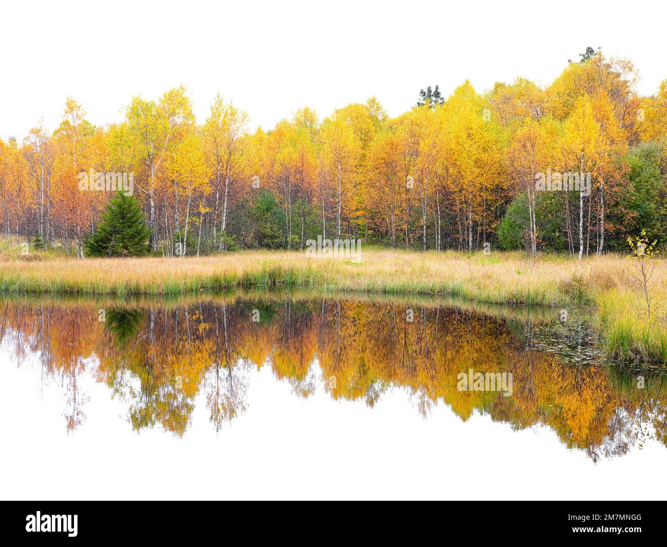 Europe, Germany, Hesse, UNESCO Biosphere Reserve Rhön, Nature Park ...