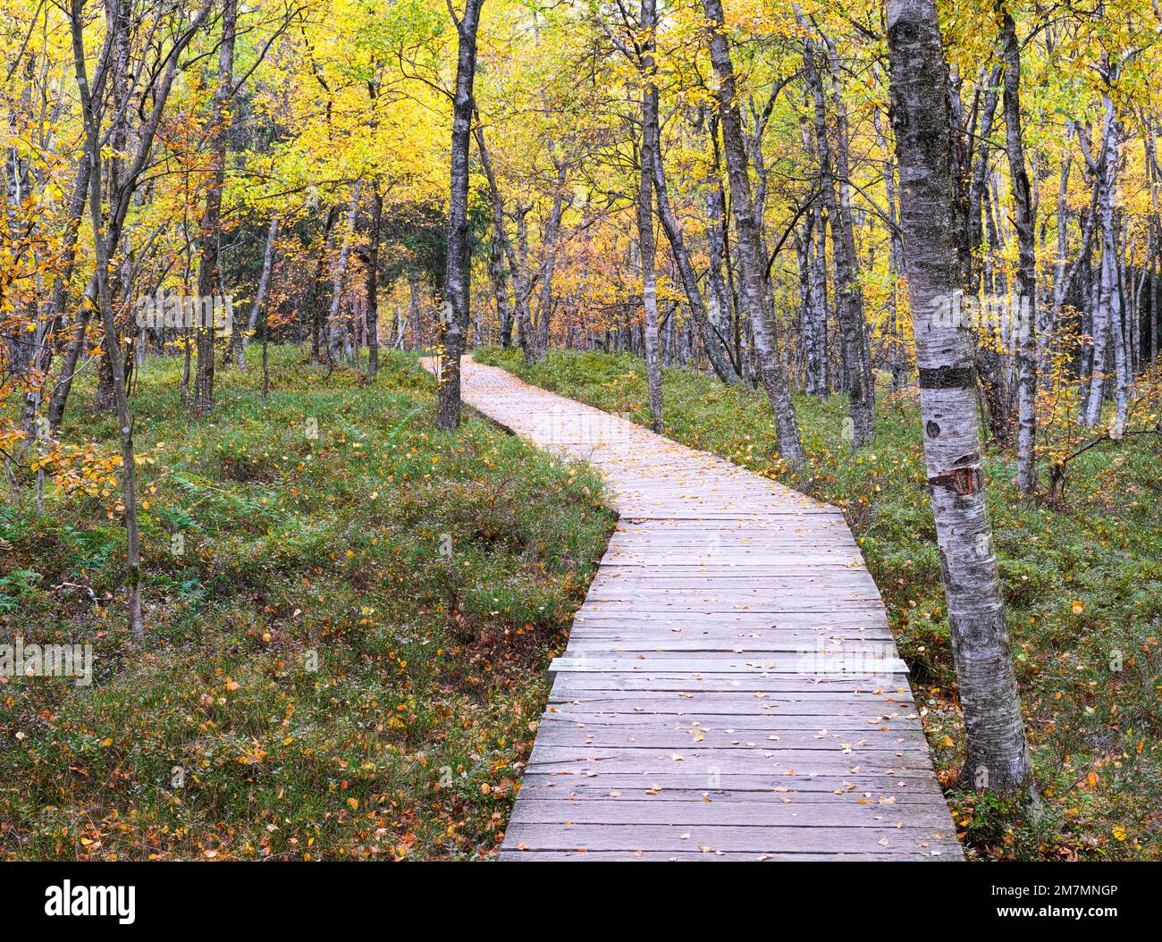 Europe, Germany, Hesse, UNESCO Biosphere Reserve Rhön, Hessian Rhön ...