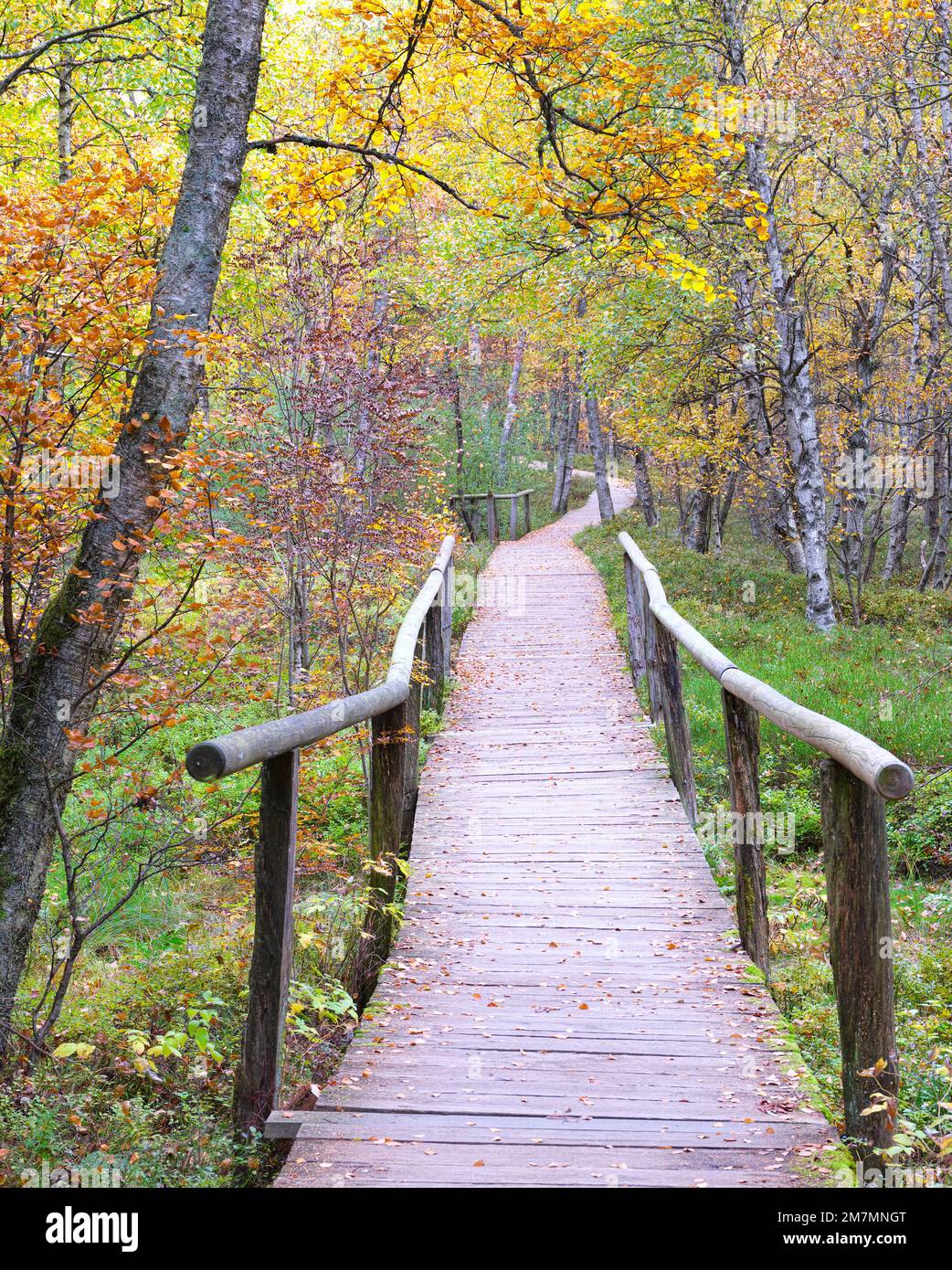 Europe, Germany, Hesse, UNESCO Biosphere Reserve Rhön, Hessian Rhön ...
