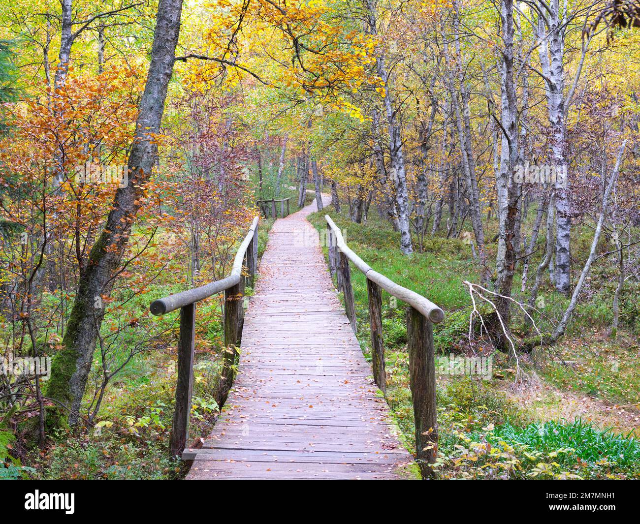 Europe, Germany, Hesse, UNESCO Biosphere Reserve Rhön, Hessian Rhön ...