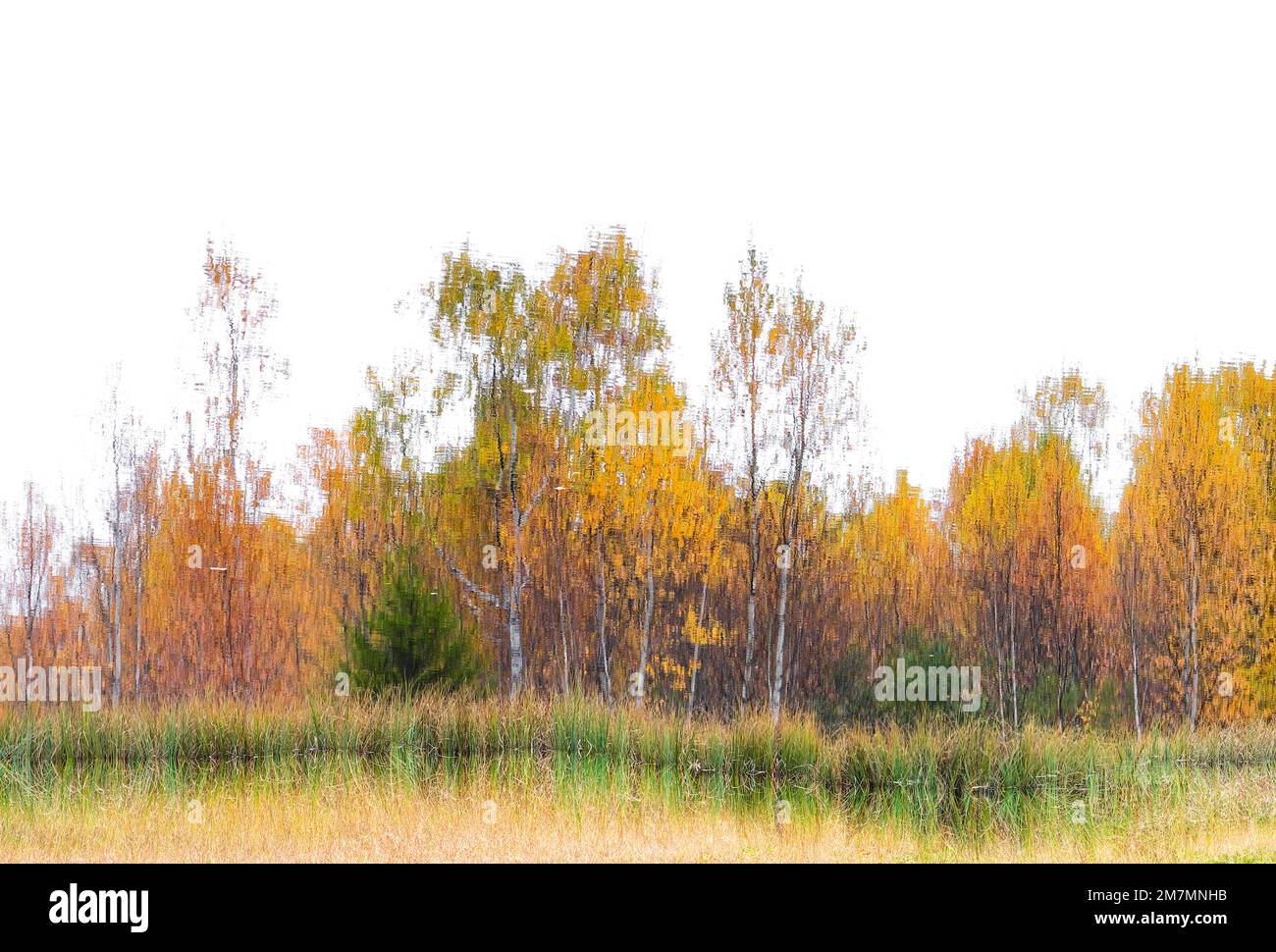 Europe, Germany, Hesse, UNESCO Biosphere Reserve Rhön, Nature Park ...