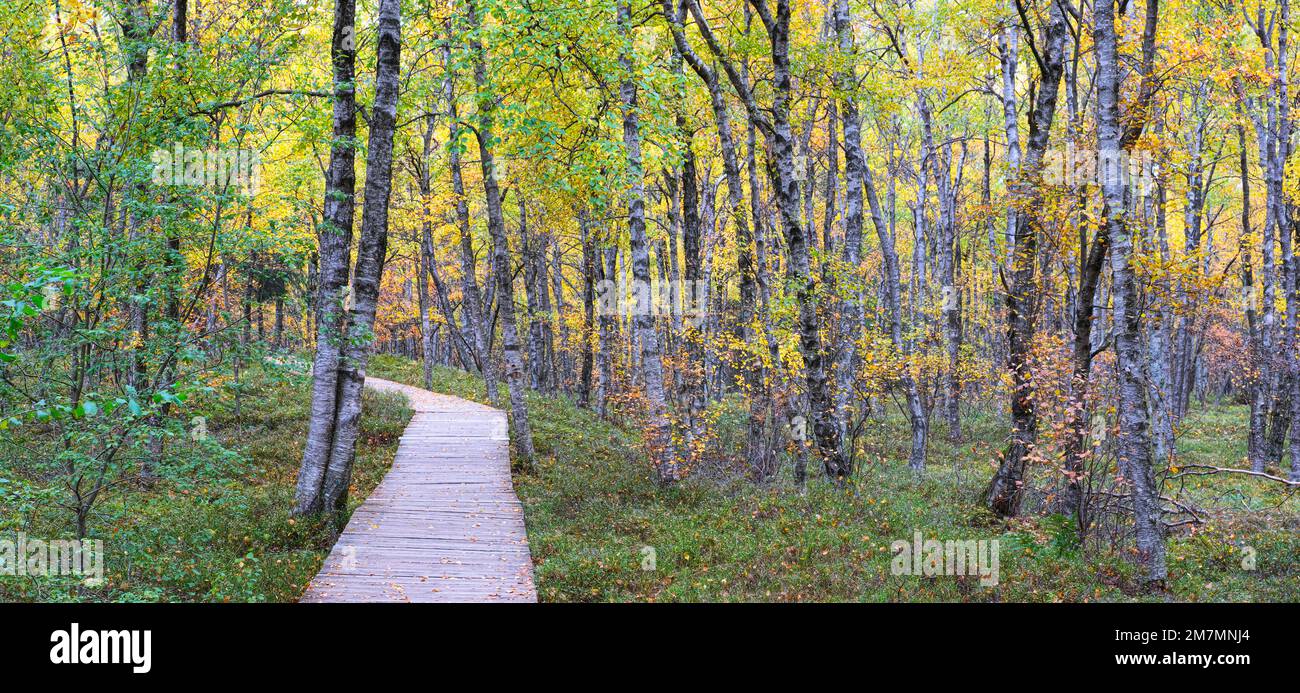 Europe, Germany, Hesse, UNESCO Biosphere Reserve Rhön, Hessian Rhön ...