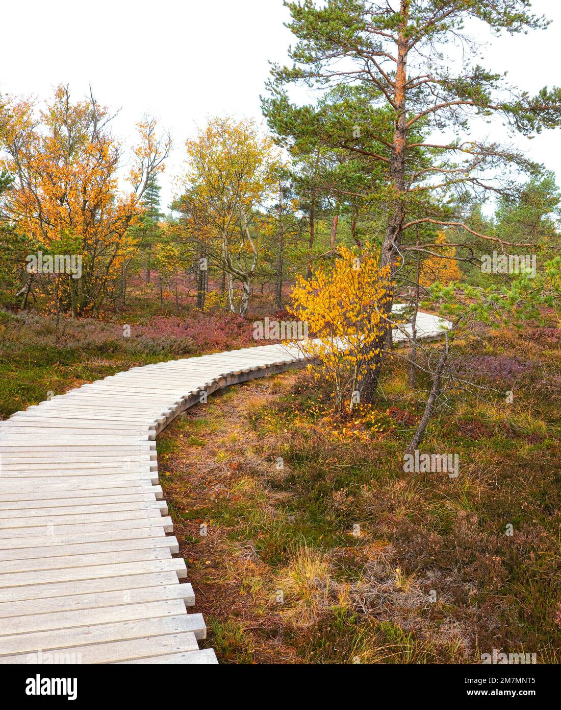 Europe, Germany, Bavaria, UNESCO Biosphere Reserve Rhön, Nature Park ...