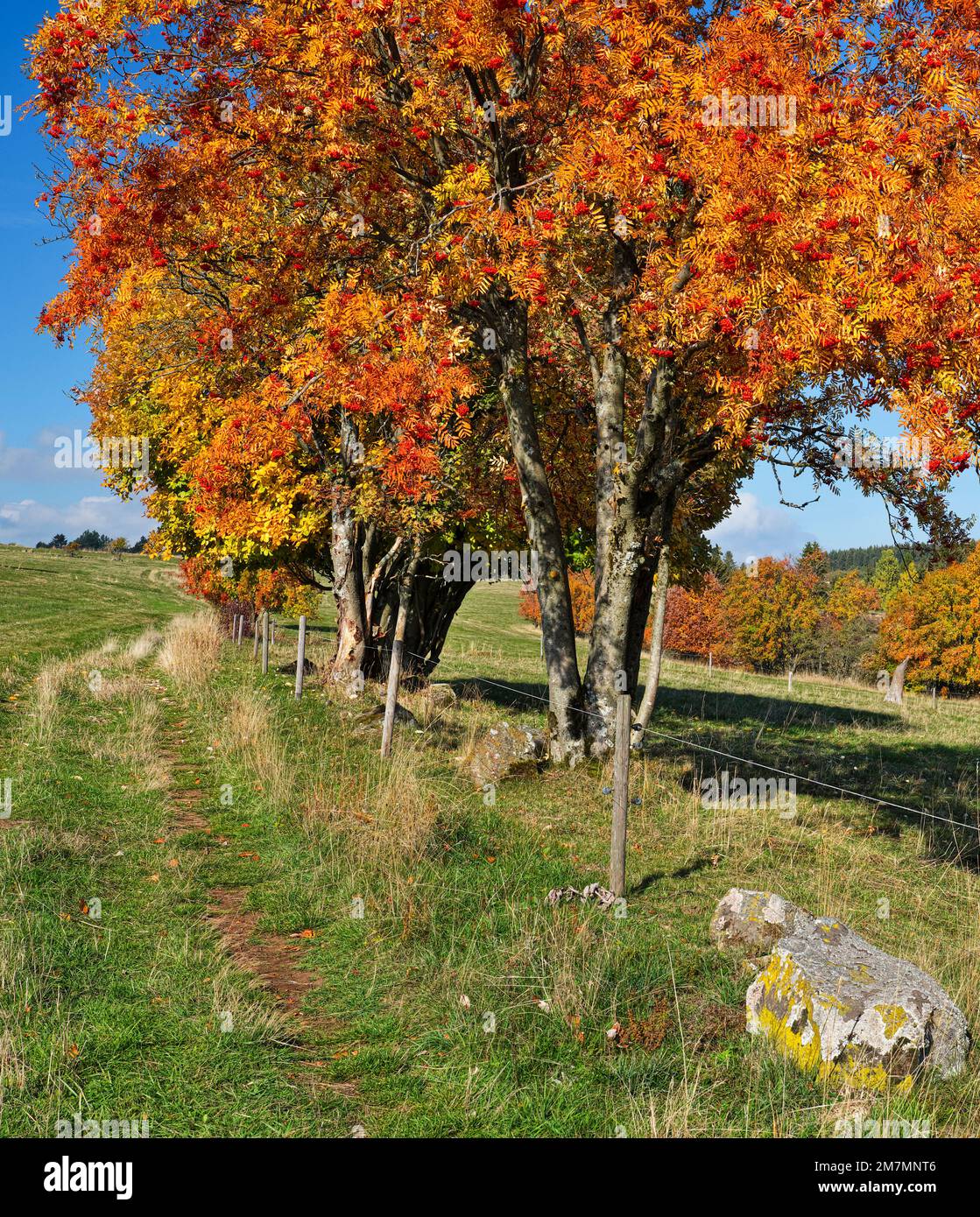 Europe, Germany, Bavaria, UNESCO Biosphere Reserve Rhön, Bavarian Rhön ...