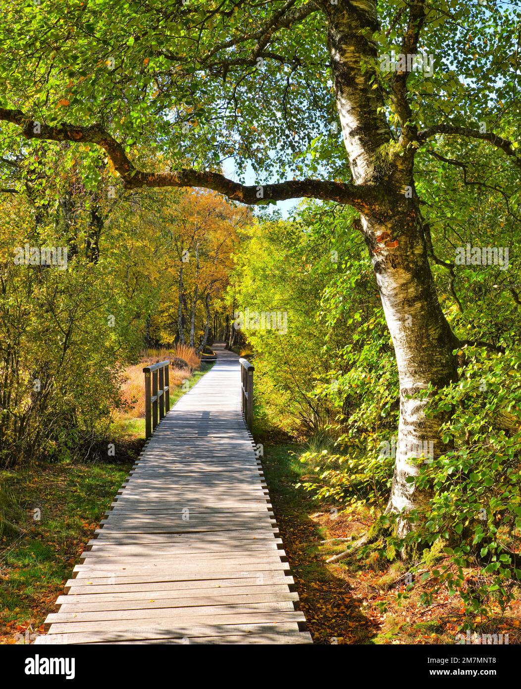 Europe, Germany, Bavaria, UNESCO Biosphere Reserve Rhön, Nature Park ...