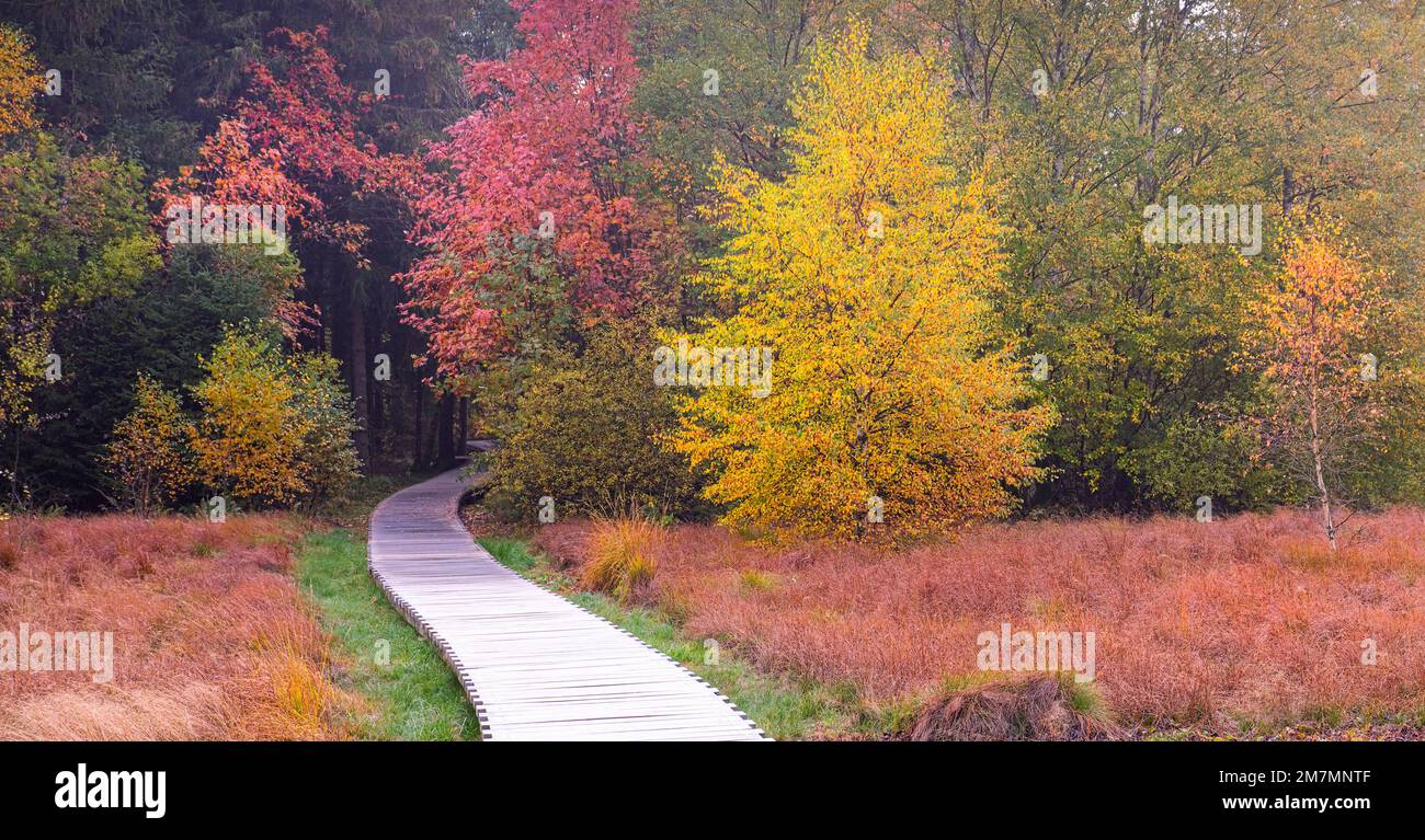 Europe, Germany, Bavaria, UNESCO Biosphere Reserve Rhön, Nature Park ...