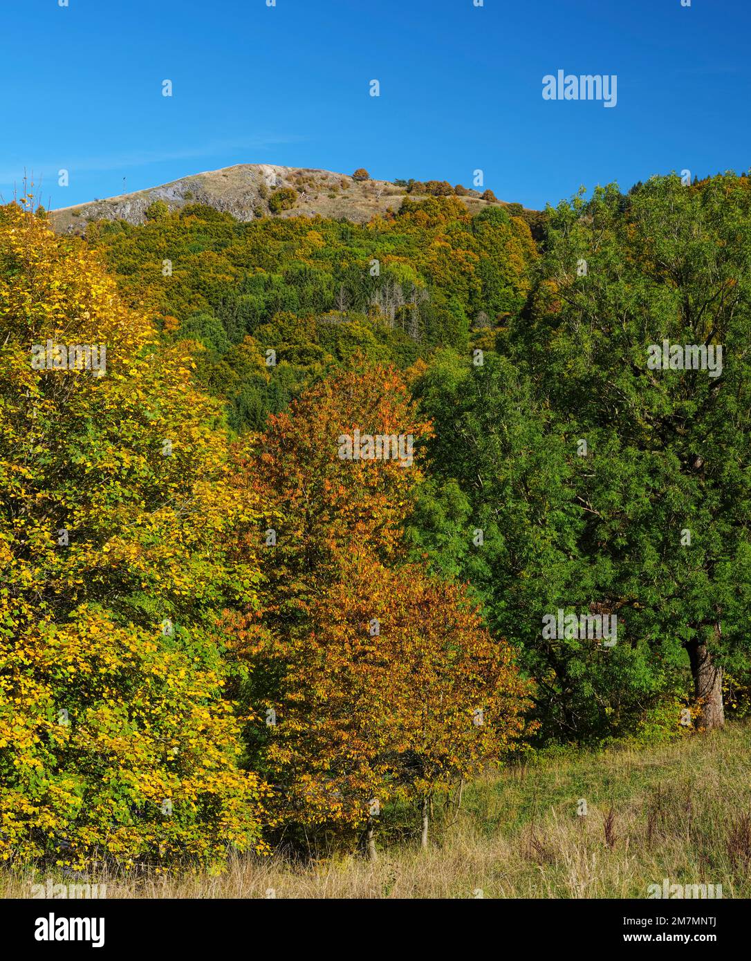 Europe, Germany, Hesse, East Hesse, UNESCO Biosphere Reserve Rhön ...
