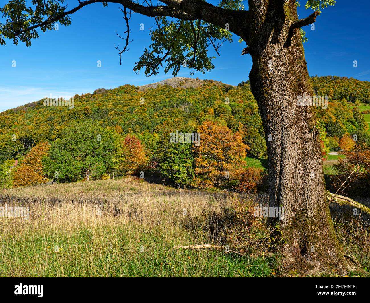 Europe, Germany, Hesse, East Hesse, UNESCO Biosphere Reserve Rhön ...