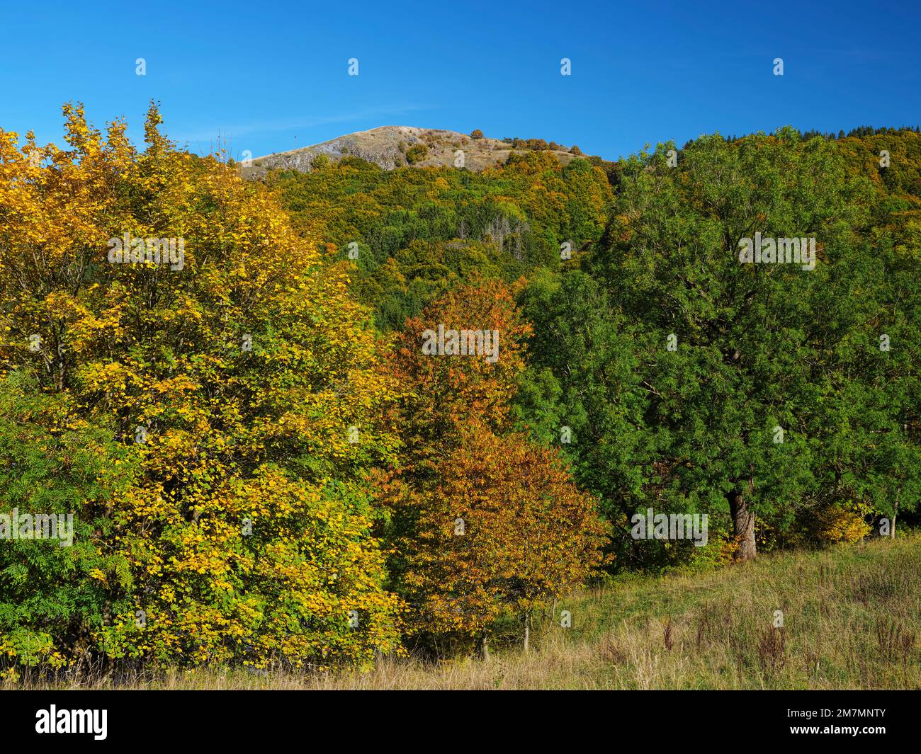 Europe, Germany, Hesse, East Hesse, UNESCO Biosphere Reserve Rhön ...