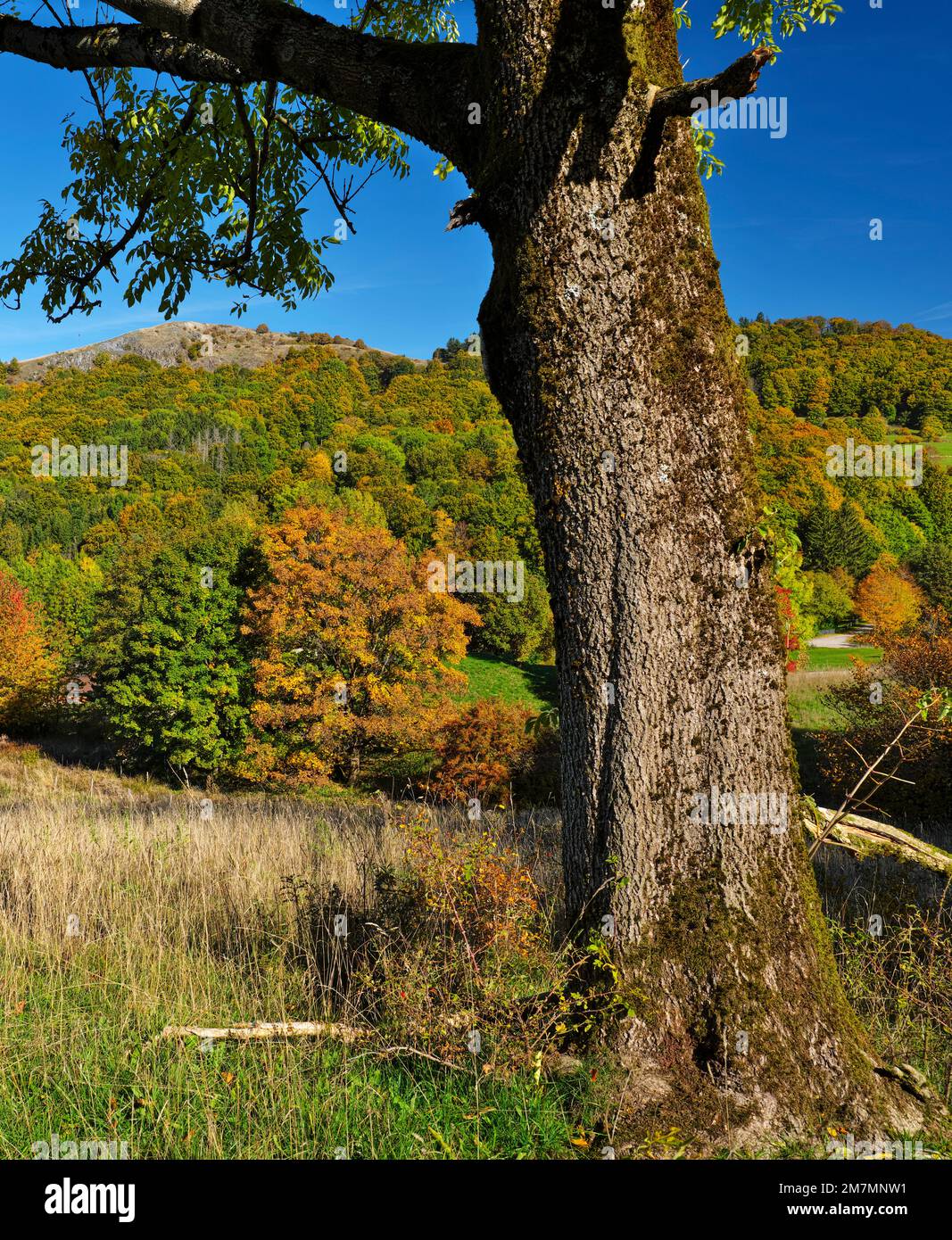 Europe, Germany, Hesse, East Hesse, UNESCO Biosphere Reserve Rhön ...
