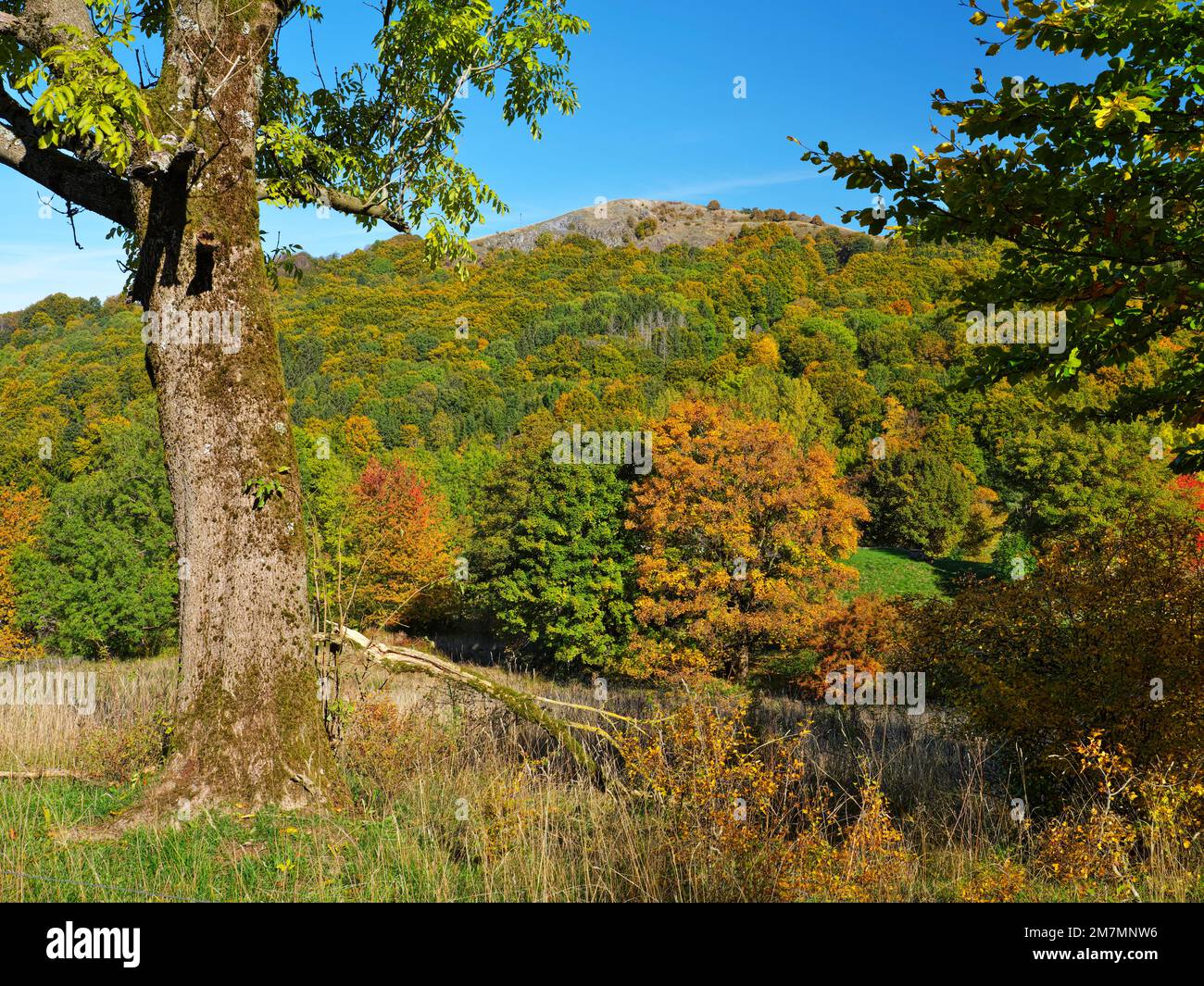 Europe, Germany, Hesse, East Hesse, UNESCO Biosphere Reserve Rhön ...