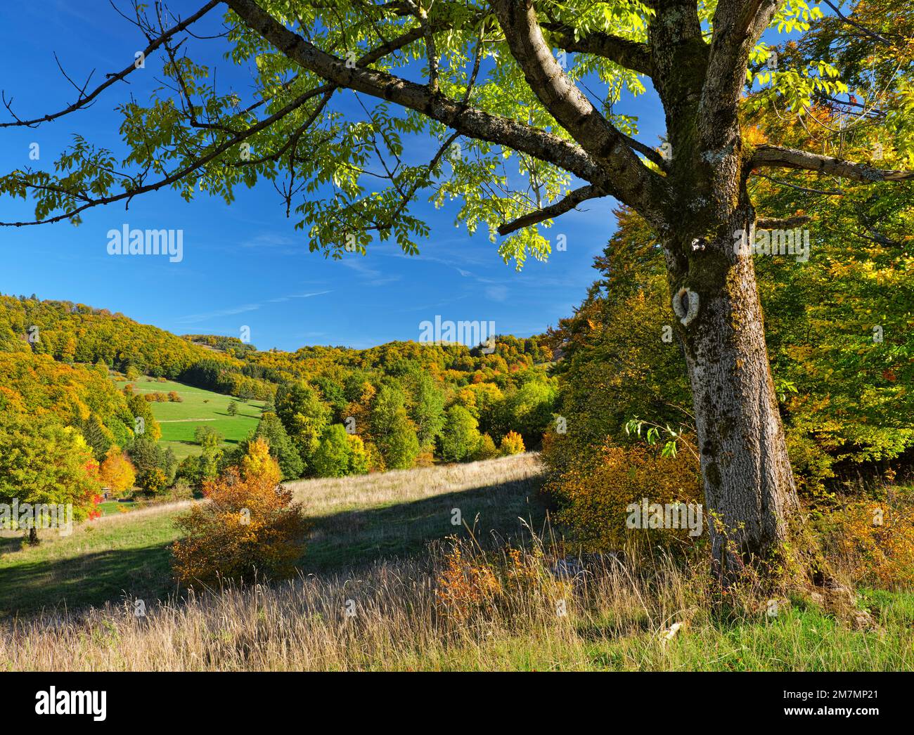 Nature park hessian rhon hi-res stock photography and images - Alamy