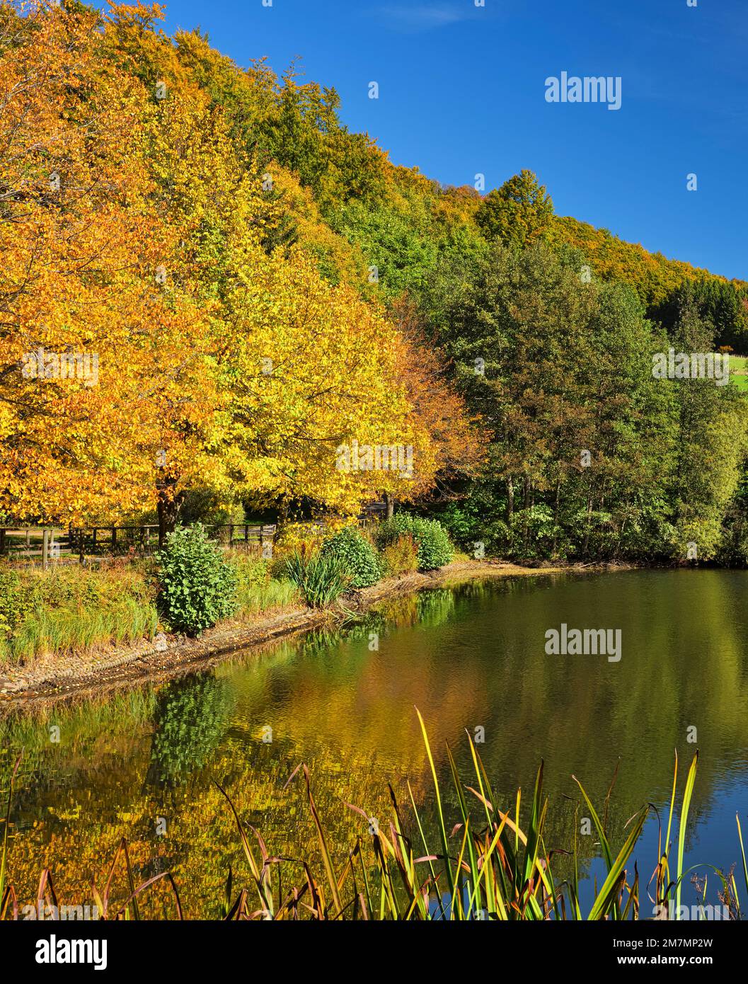 Europe, Germany, Hesse, Eastern Hesse, Rhön UNESCO Biosphere Reserve ...