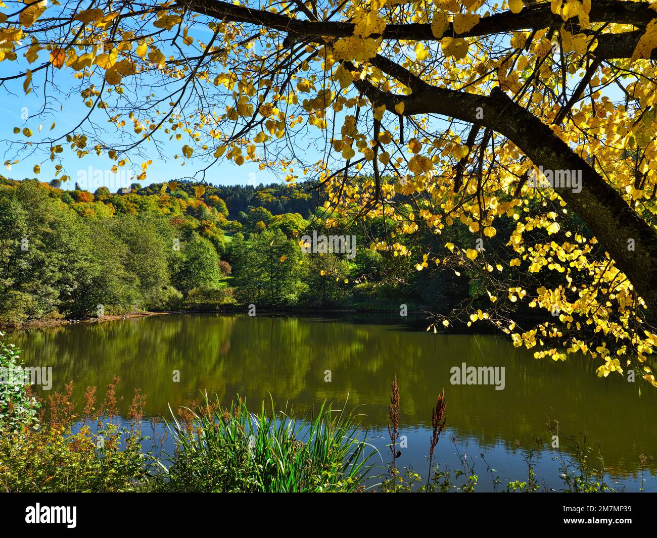 Europe, Germany, Hesse, East Hesse, UNESCO Biosphere Reserve Rhön ...