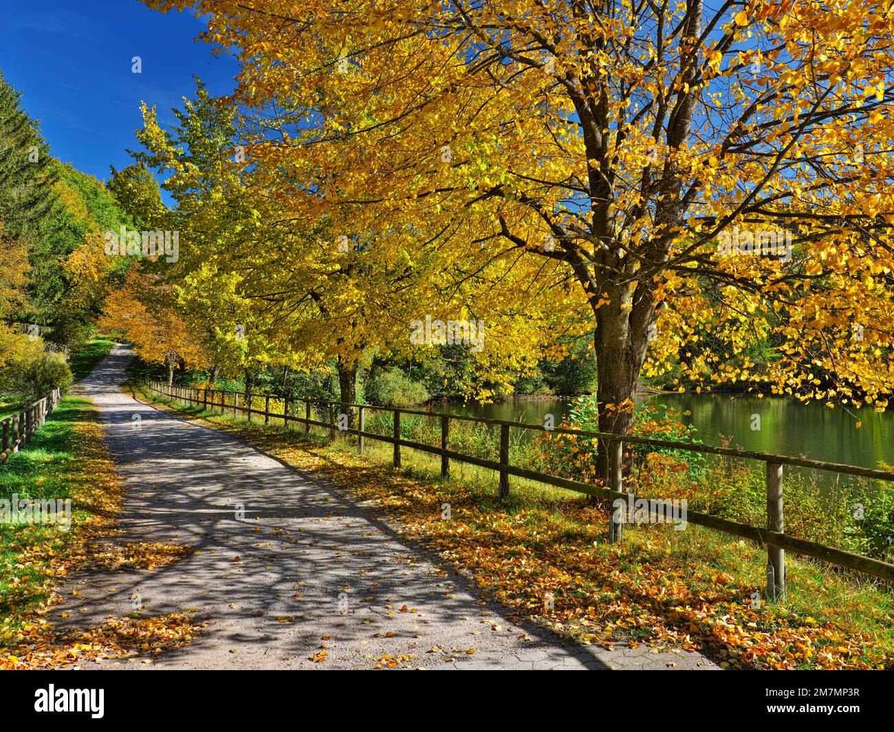 Europe, Germany, Hesse, East Hesse, UNESCO Biosphere Reserve Rhön ...