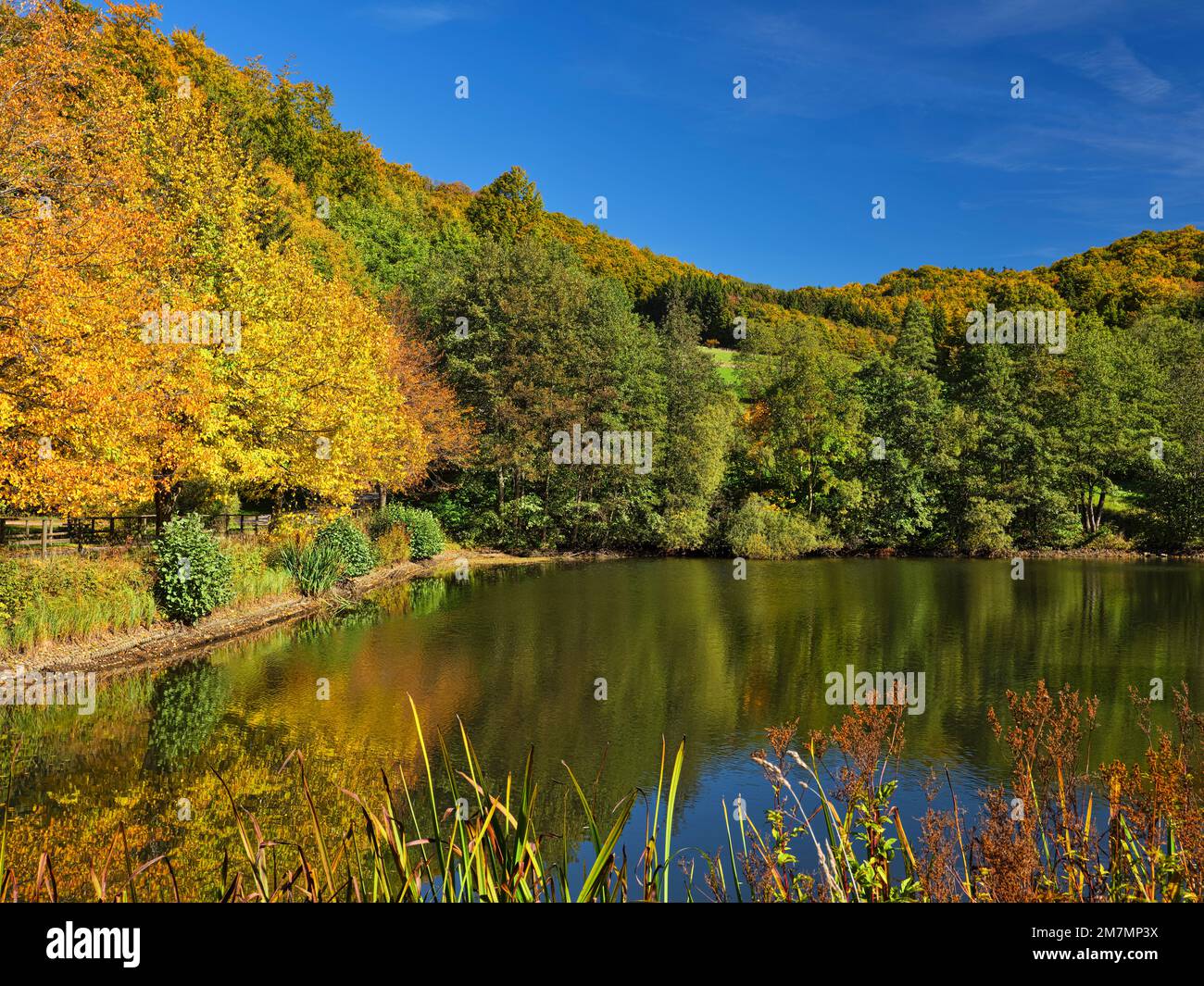 Europe, Germany, Hesse, Eastern Hesse, Rhön UNESCO Biosphere Reserve ...