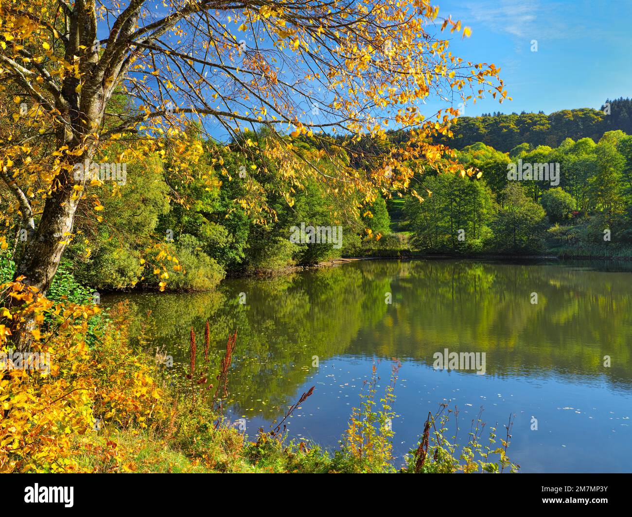 Europe, Germany, Hesse, East Hesse, UNESCO Biosphere Reserve Rhön ...