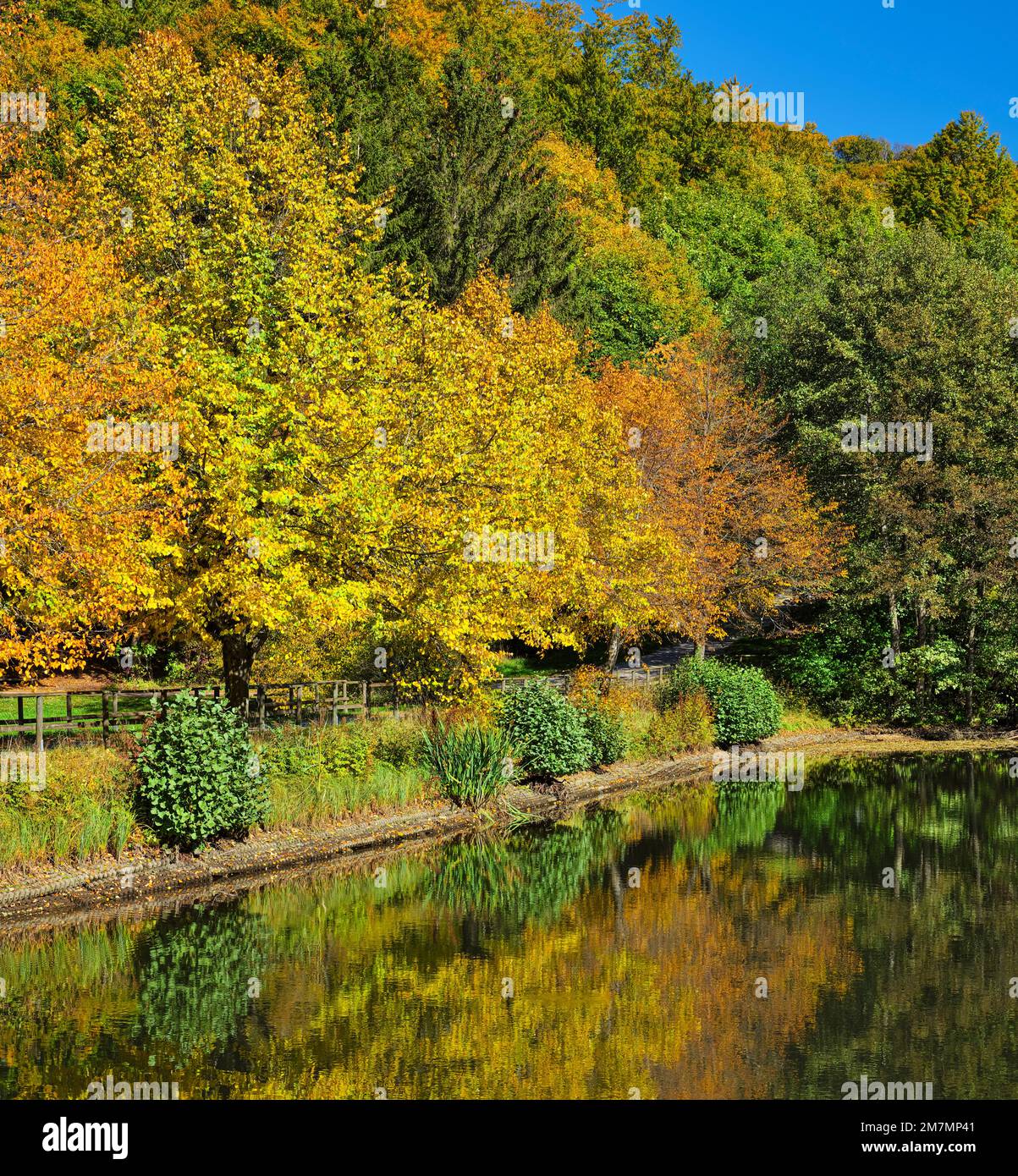 Europe, Germany, Hesse, Eastern Hesse, Rhön UNESCO Biosphere Reserve ...