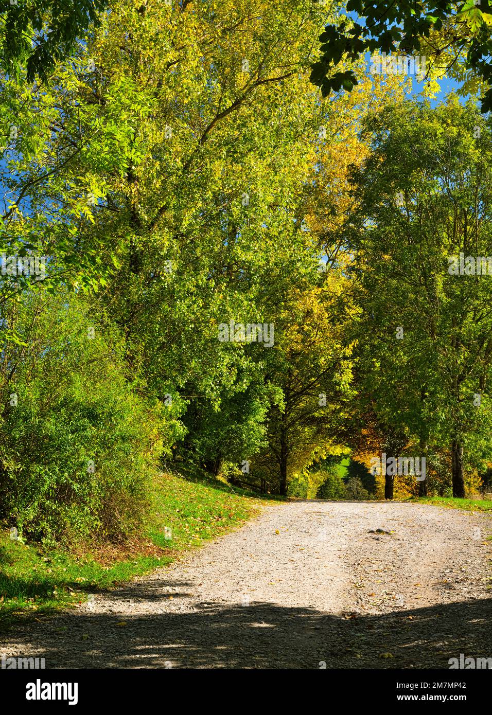 Nature park hessian rhon hi-res stock photography and images - Alamy