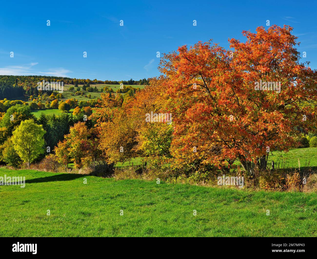 Europe, Germany, Hesse, Eastern Hesse, Rhön, UNESCO Biosphere Reserve ...
