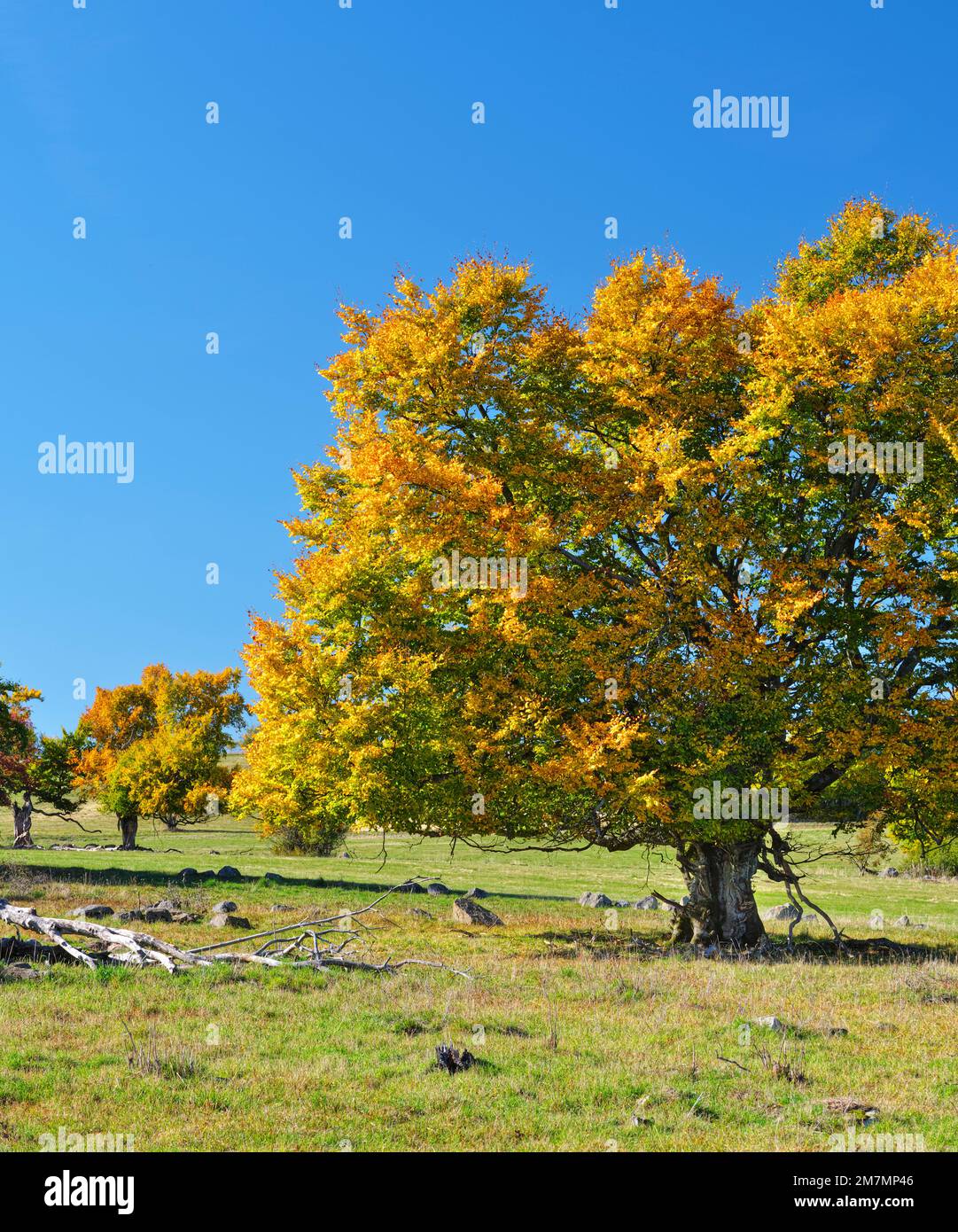 Europe, Germany, Bavaria, UNESCO Biosphere Reserve Rhön, Bavarian Rhön ...