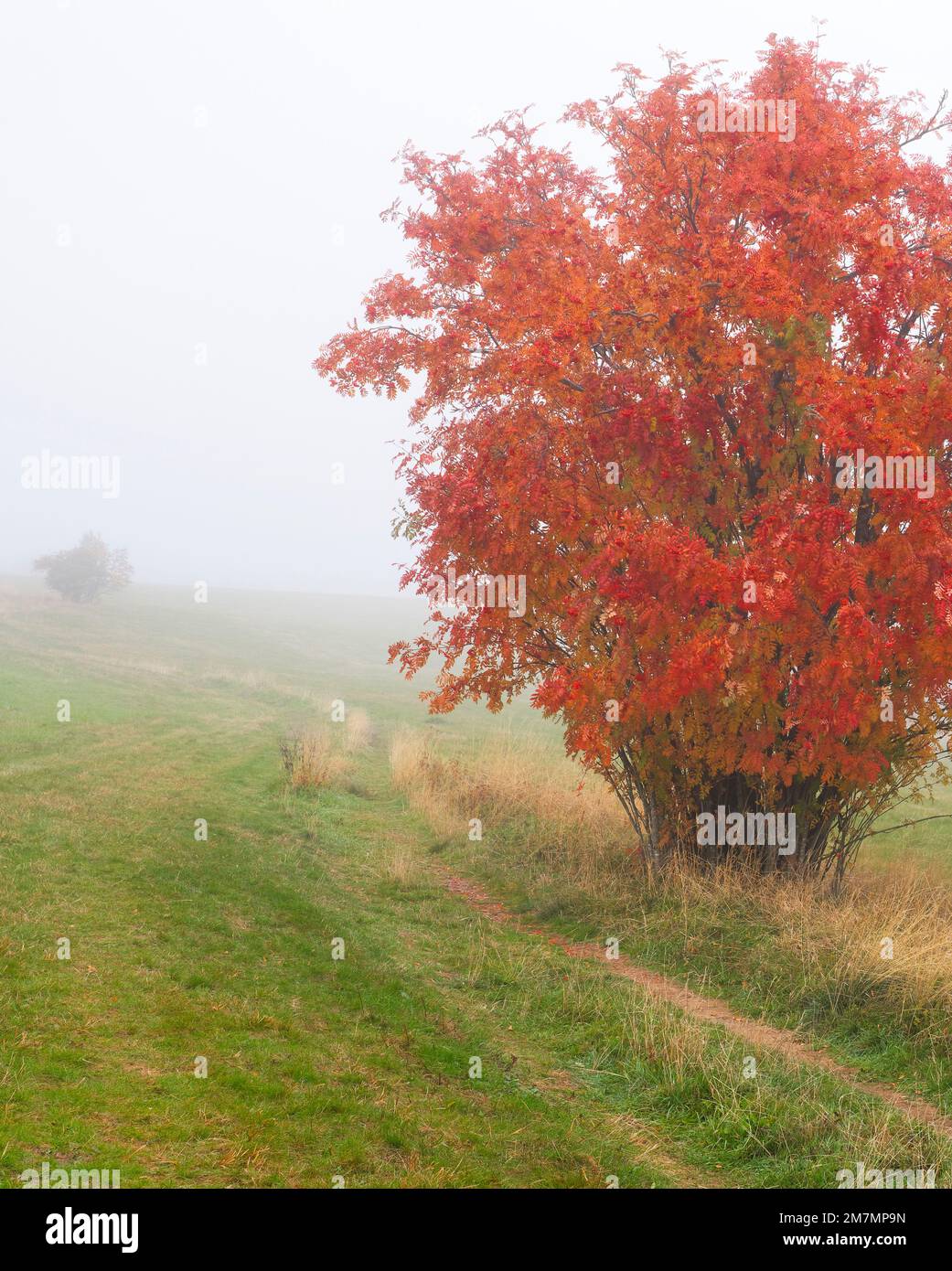 Europe, Germany, Bavaria, UNESCO Biosphere Reserve, Bavarian Rhön ...