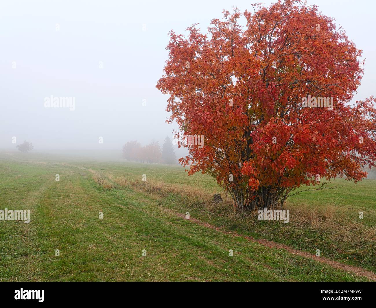 Europe, Germany, Bavaria, UNESCO Biosphere Reserve, Bavarian Rhön ...