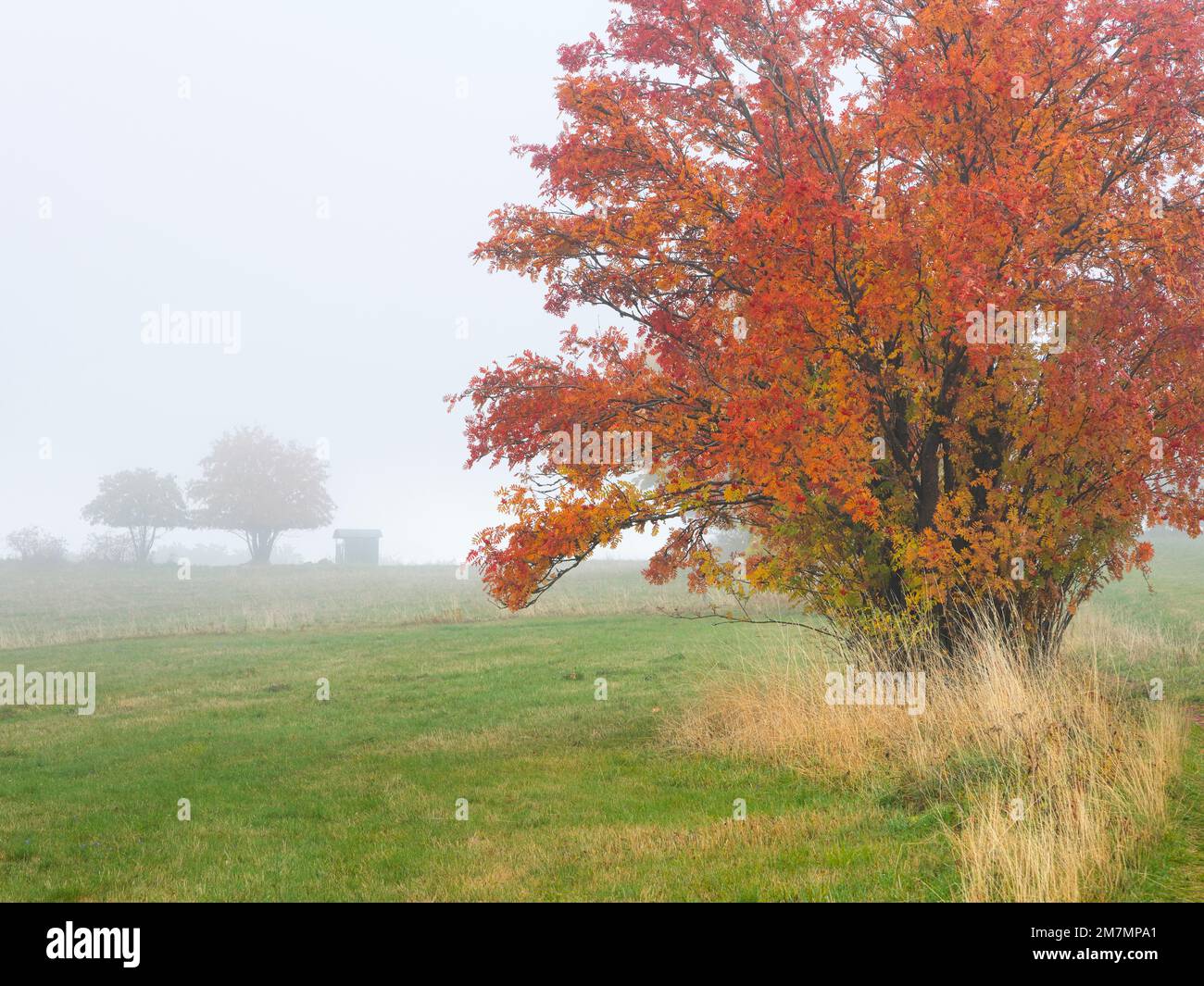 Europe, Germany, Bavaria, UNESCO Biosphere Reserve, Bavarian Rhön ...