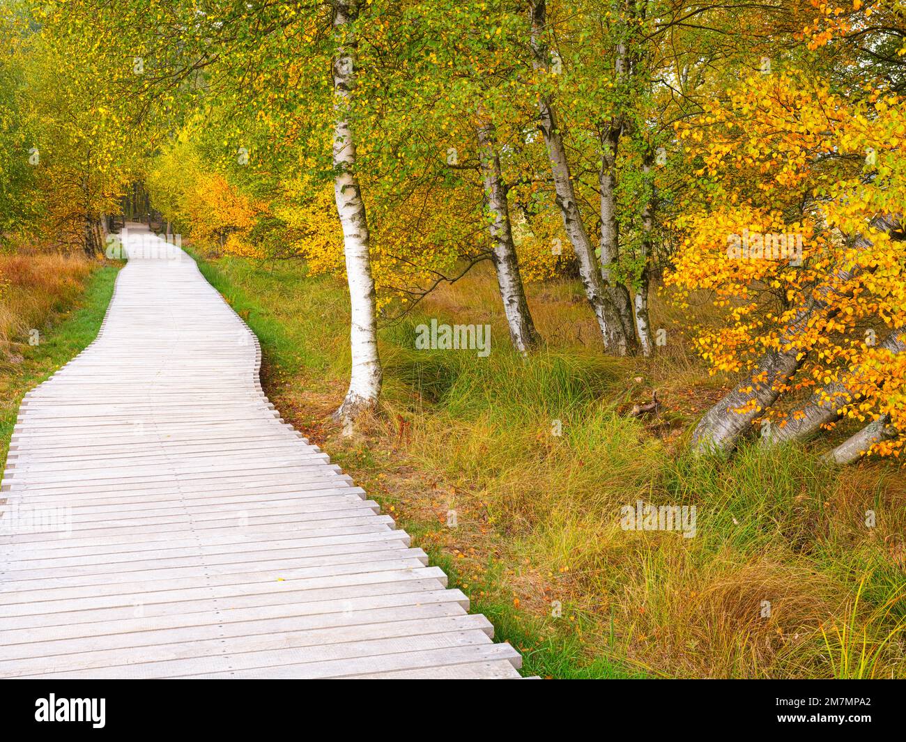 Europe, Germany, Bavaria, Bavarian Rhön Biosphere Reserve, Fladungen ...