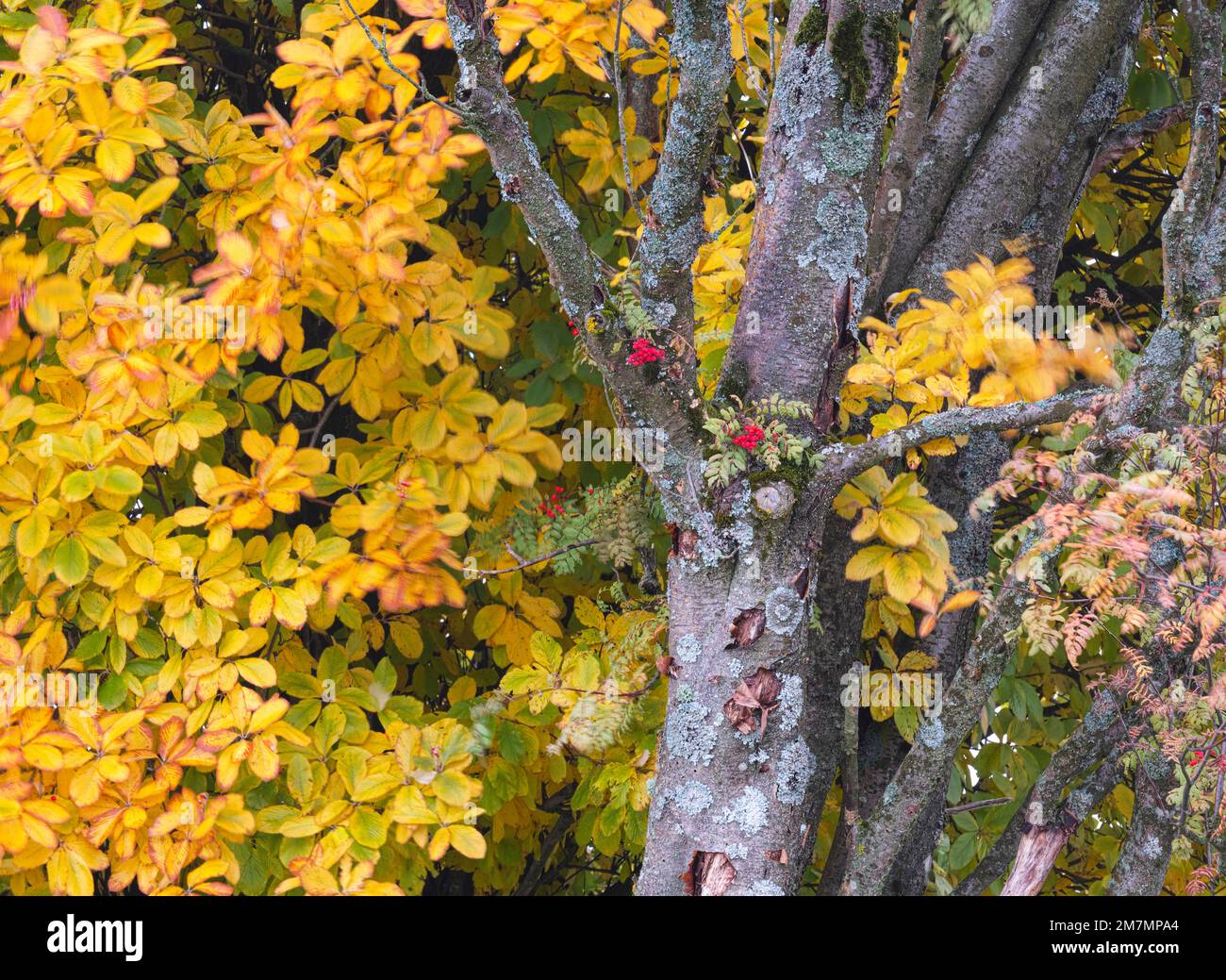Europe, Germany, Bavaria, UNESCO Biosphere Reserve, Bavarian Rhön ...