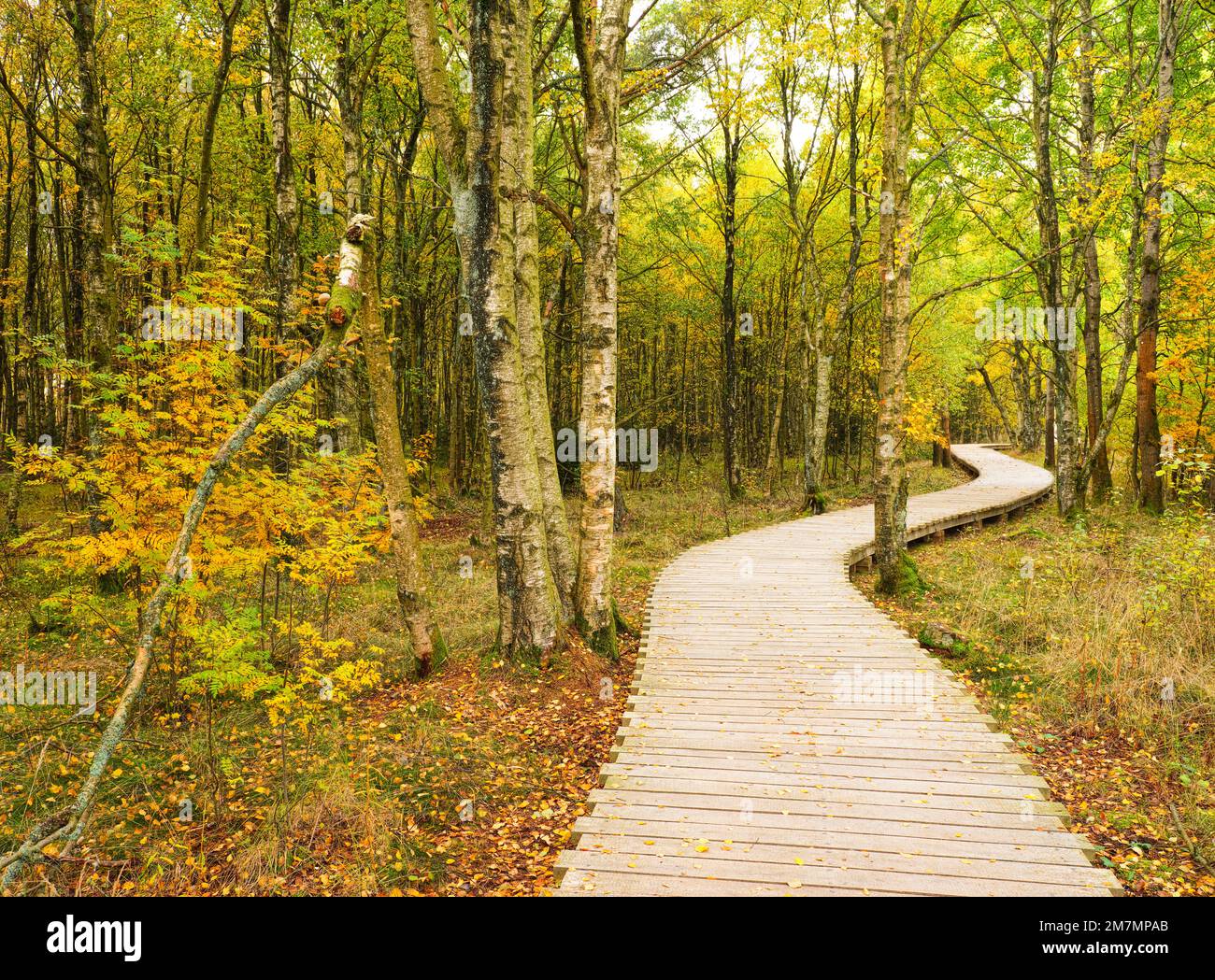 Europe, Germany, Bavaria, Bavarian Rhön Biosphere Reserve, Fladungen ...