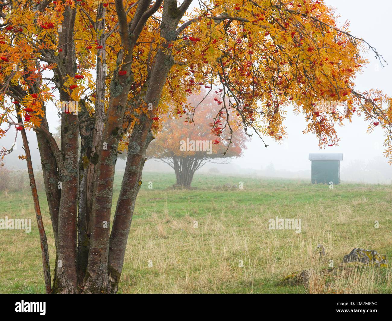 Europe, Germany, Bavaria, UNESCO Biosphere Reserve, Bavarian Rhön ...