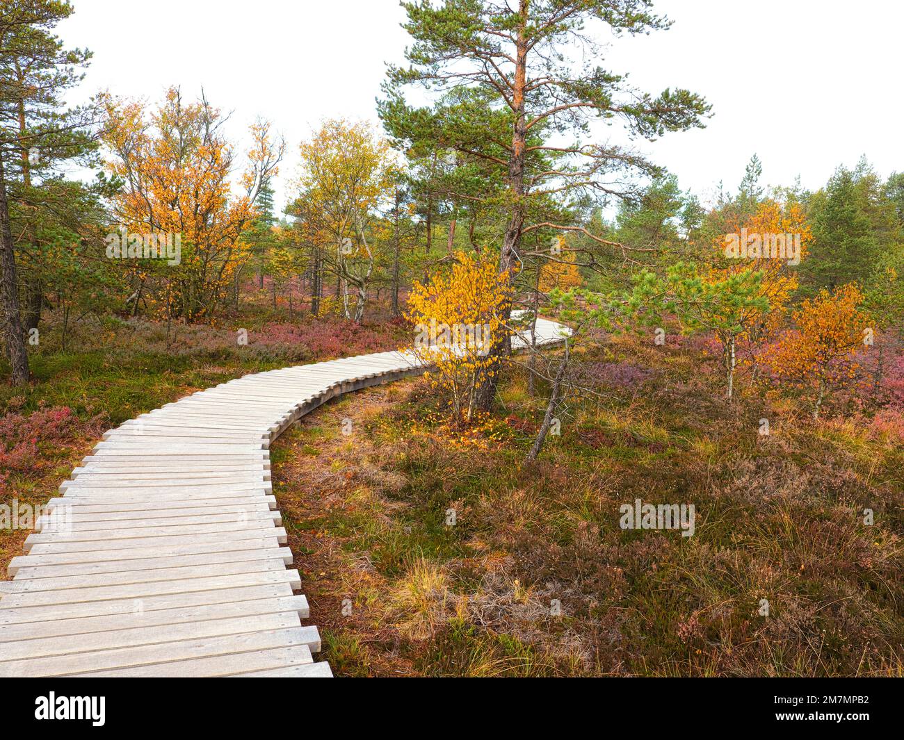 Europe, Germany, Bavaria, Bavarian Rhön Biosphere Reserve, Fladungen ...