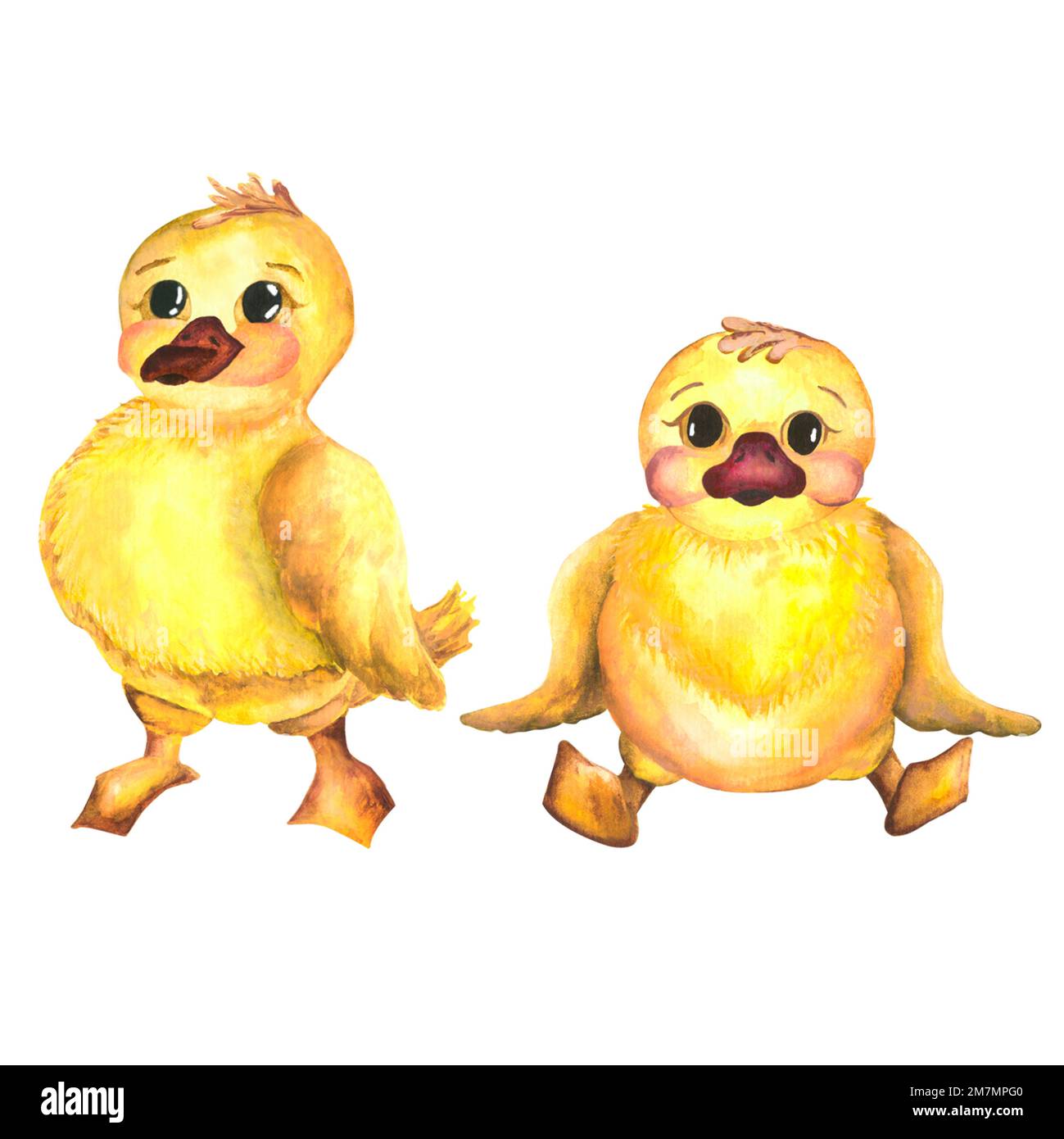 Watercolor baby illustration with ducklings. Duckling. The yellow ...