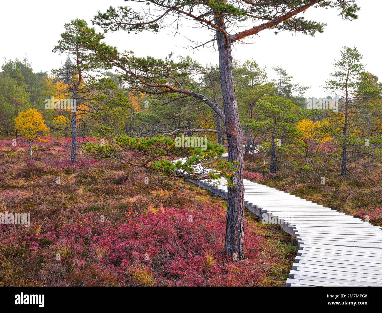 Europe, Germany, Bavaria, Bavarian Rhön Biosphere Reserve, Fladungen ...