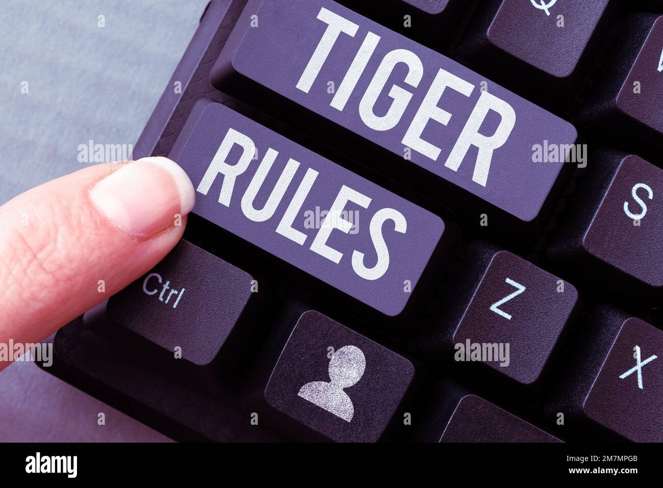 Sign displaying Tiger Rules, Business concept Willpower and personal ...