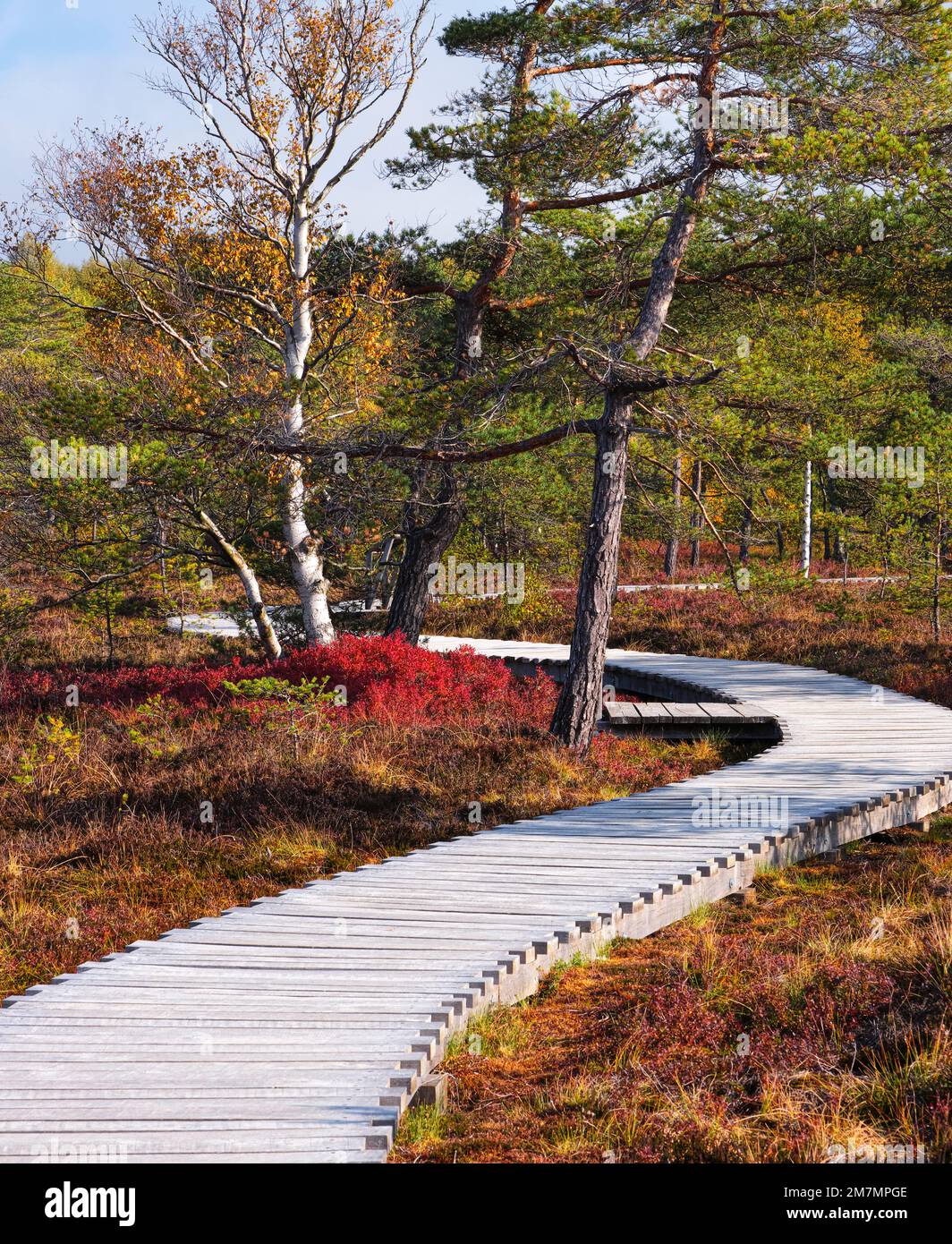 Europe, Germany, Bavaria, Bavarian Rhön Biosphere Reserve, Fladungen ...