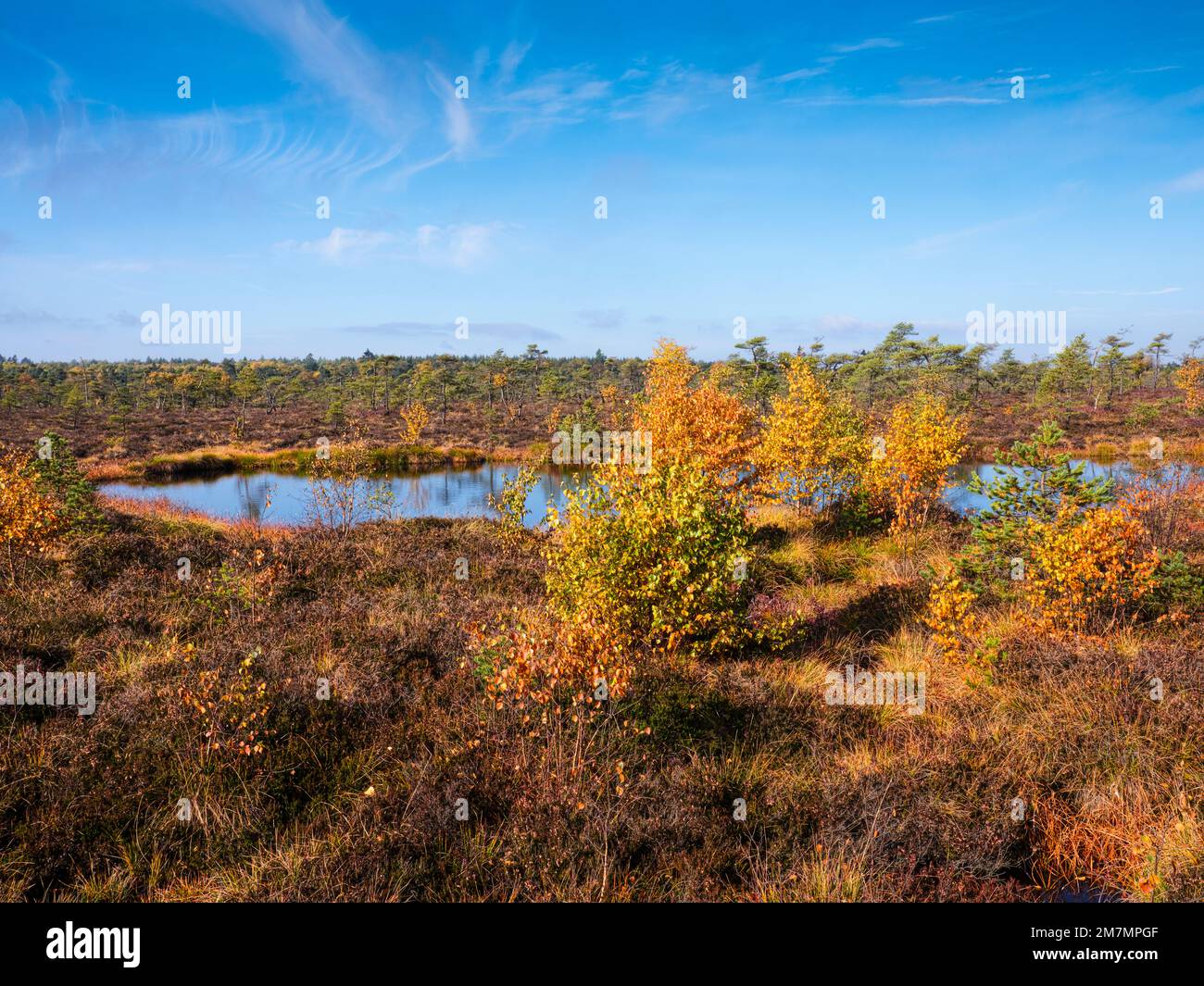 Europe, Germany, Bavaria, Bavarian Rhön Biosphere Reserve, Fladungen ...