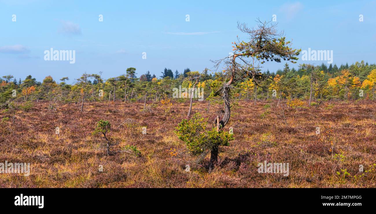 Europe, Germany, Bavaria, Bavarian Rhön Biosphere Reserve, Fladungen ...