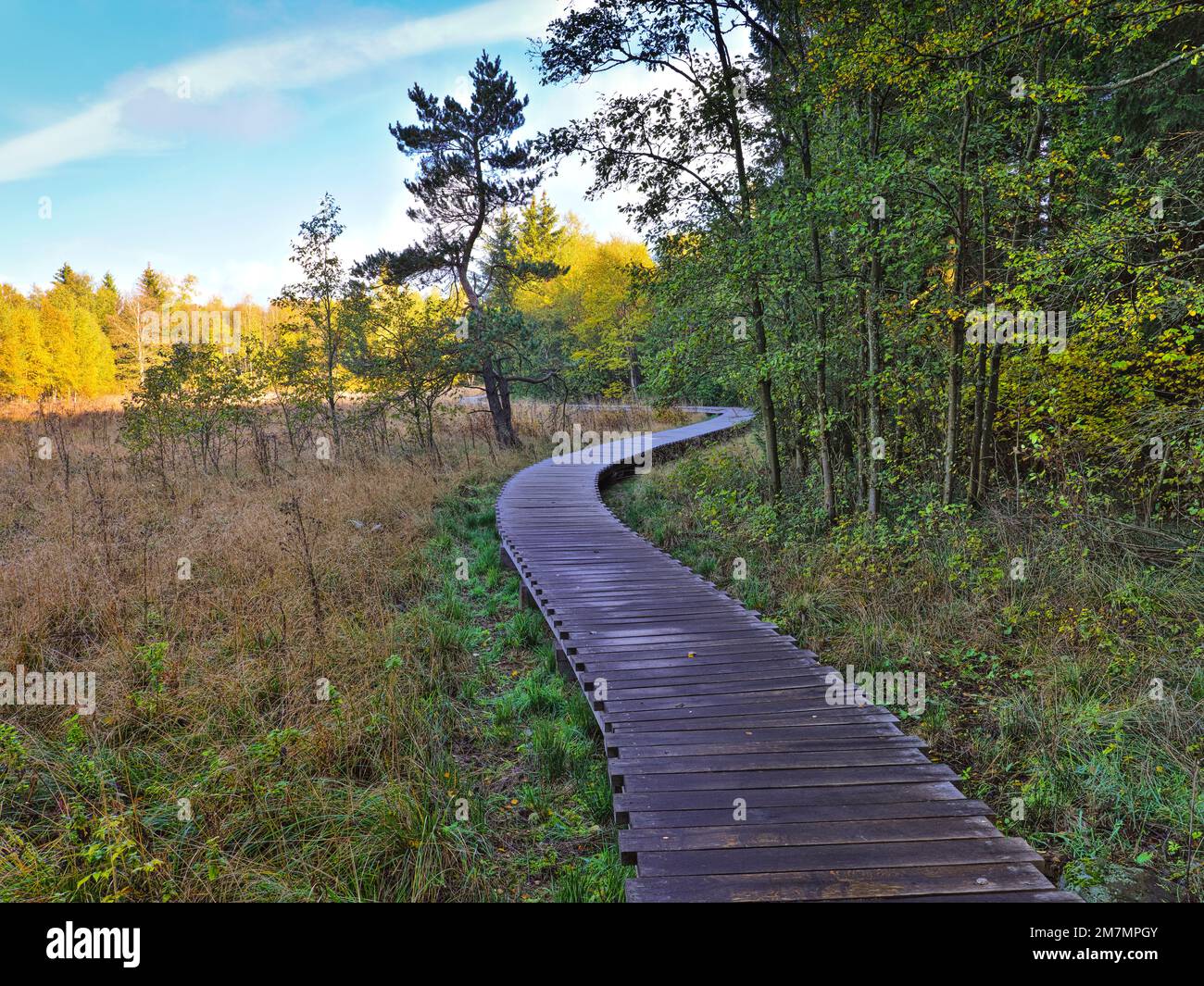 Europe, Germany, Bavaria, Bavarian Rhön Biosphere Reserve, Fladungen ...