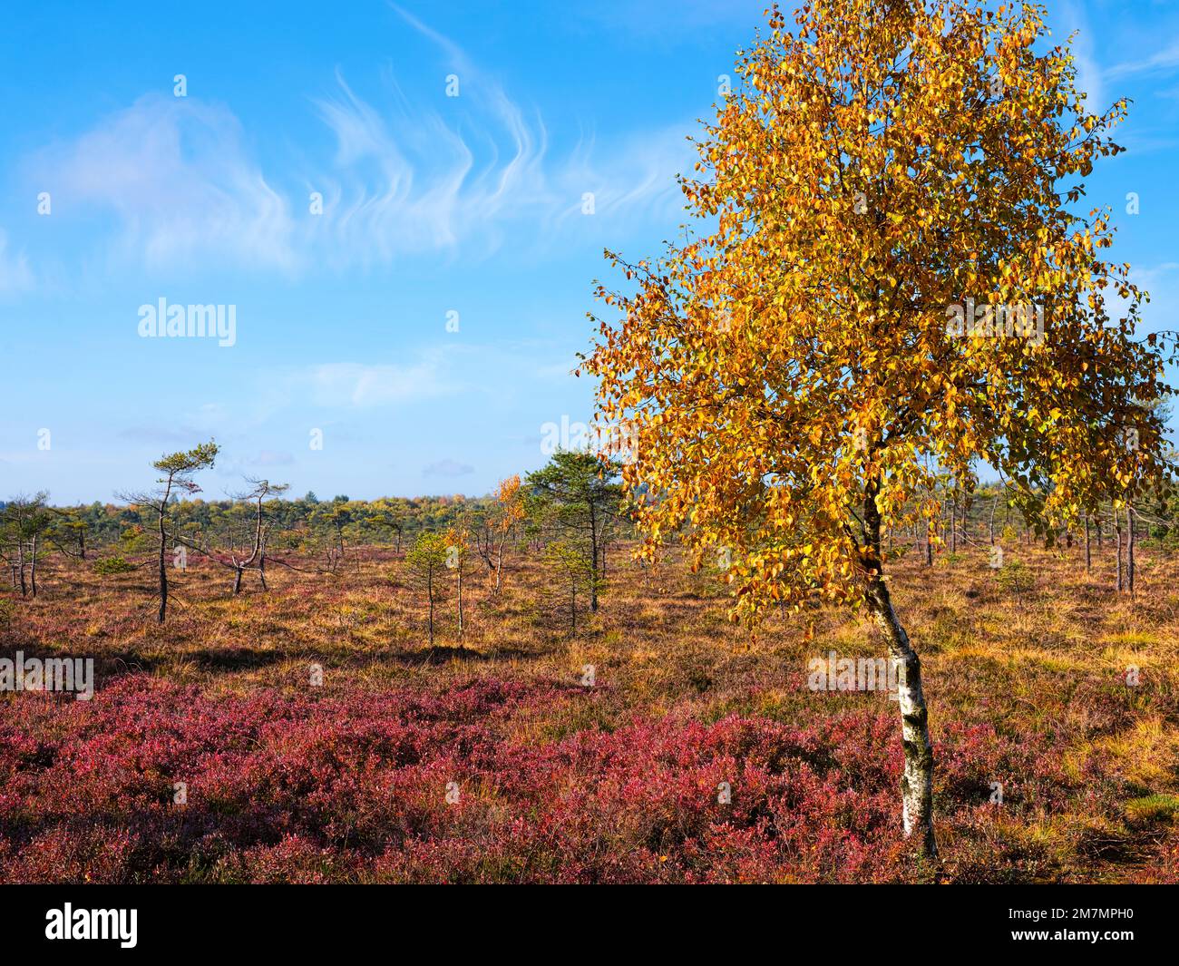 Bavarian rhon biosphere reserve hi-res stock photography and images - Alamy