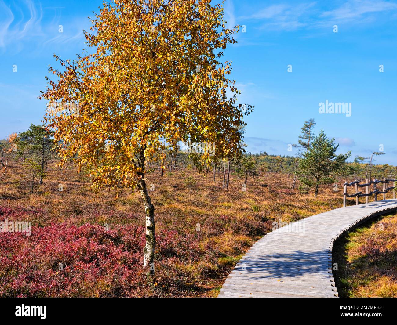 Europe, Germany, Bavaria, Bavarian Rhön Biosphere Reserve, Fladungen ...
