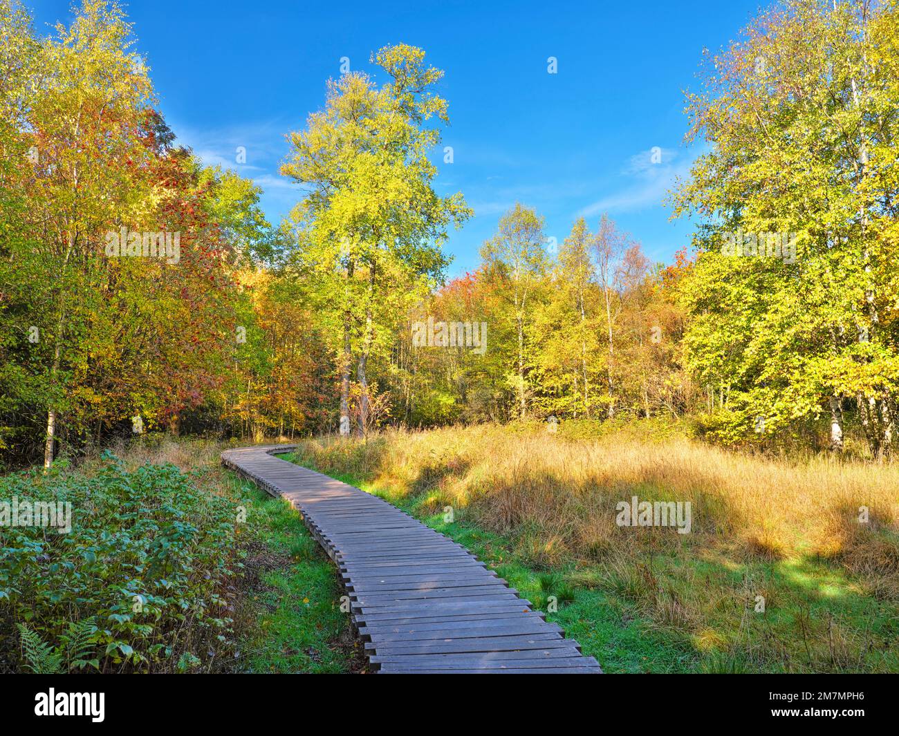 Europe, Germany, Bavaria, Bavarian Rhön Biosphere Reserve, Fladungen ...